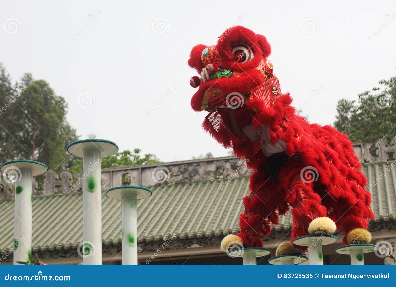 Red Chinese Traditional Lion Dancing Performance Celebration Festival