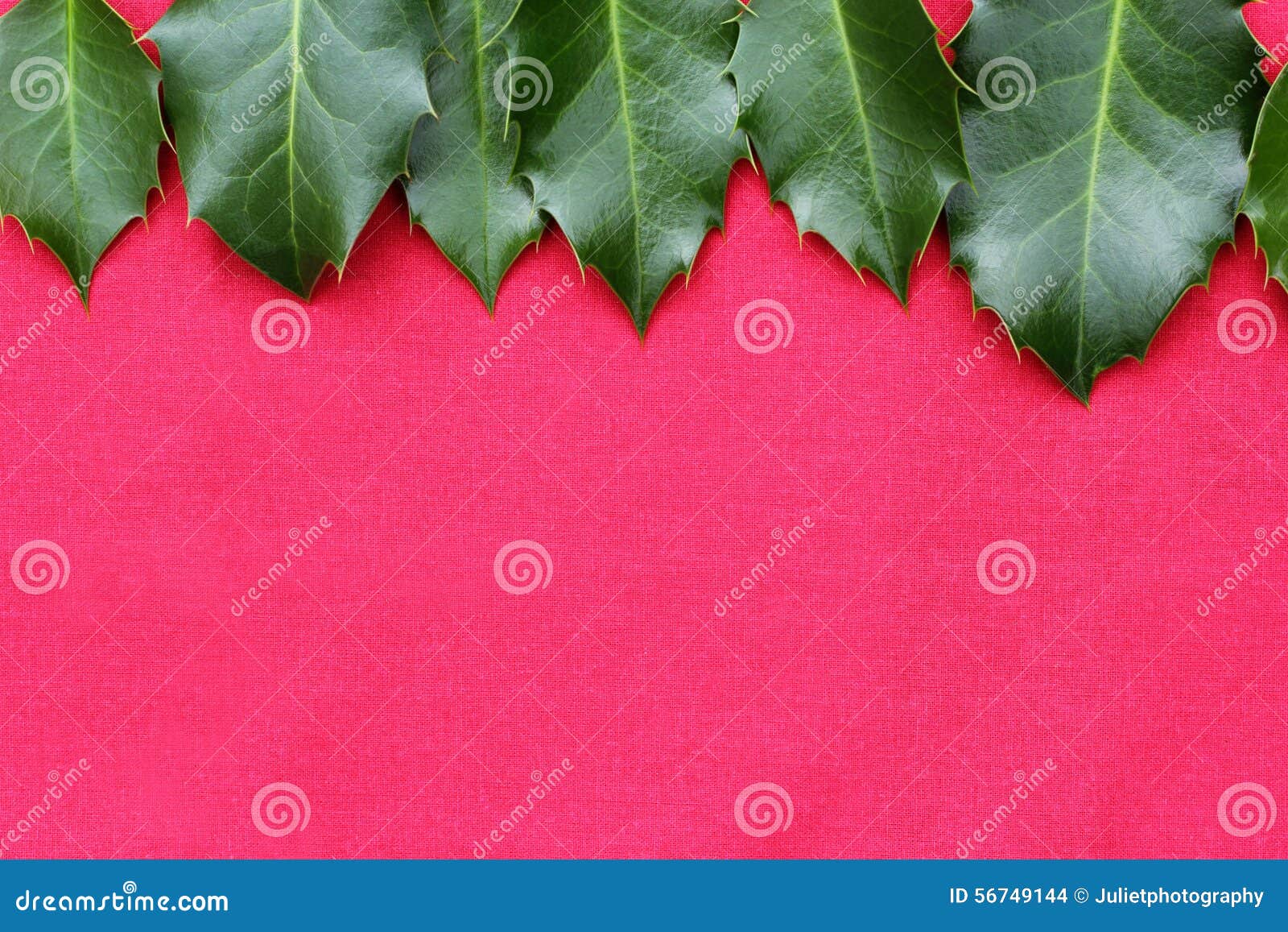 Red Christmas Background with Holy Leaves Stock Photo - Image of leaves ...