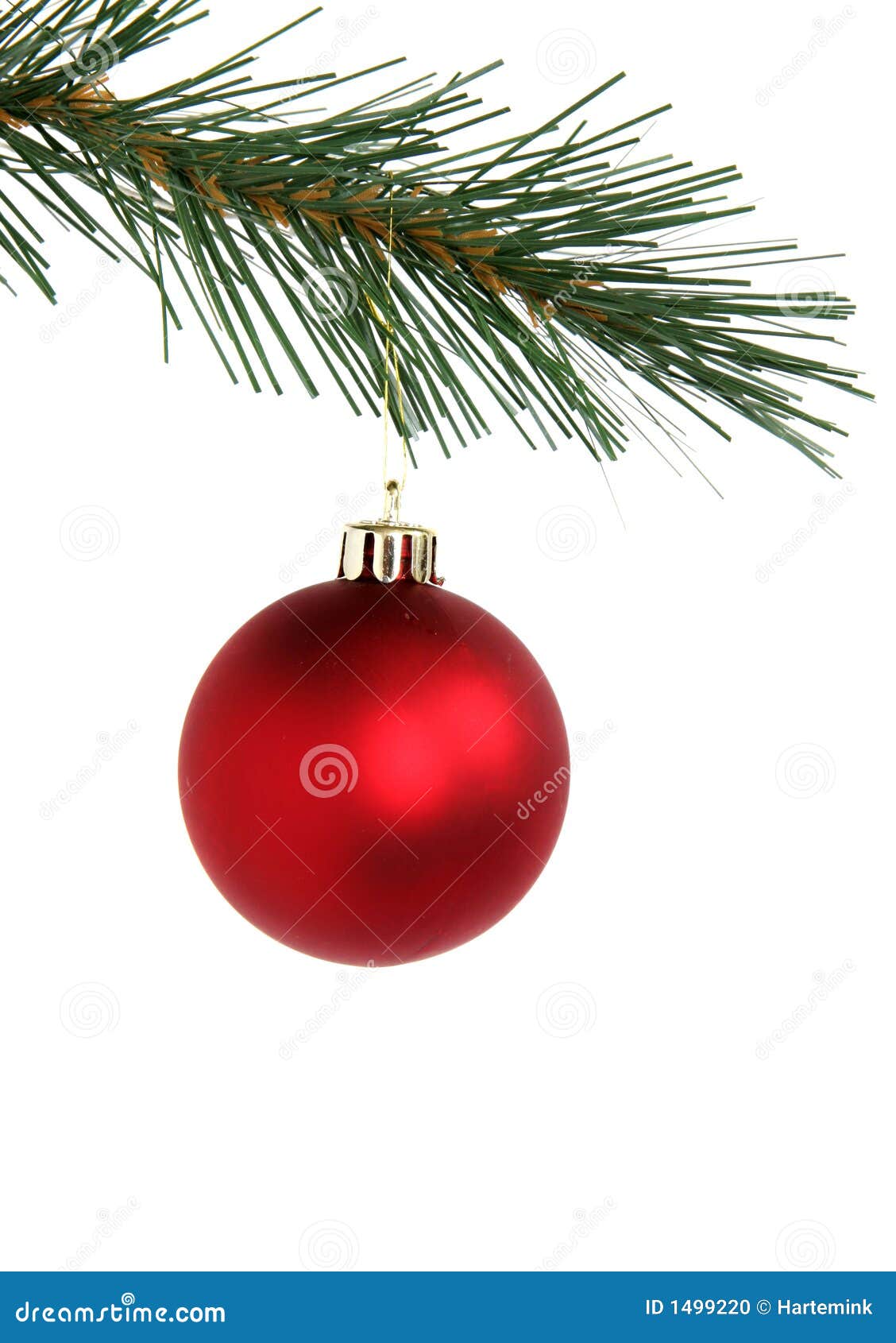 Red Christmas ball stock photo. Image of ornaments, ball - 1499220