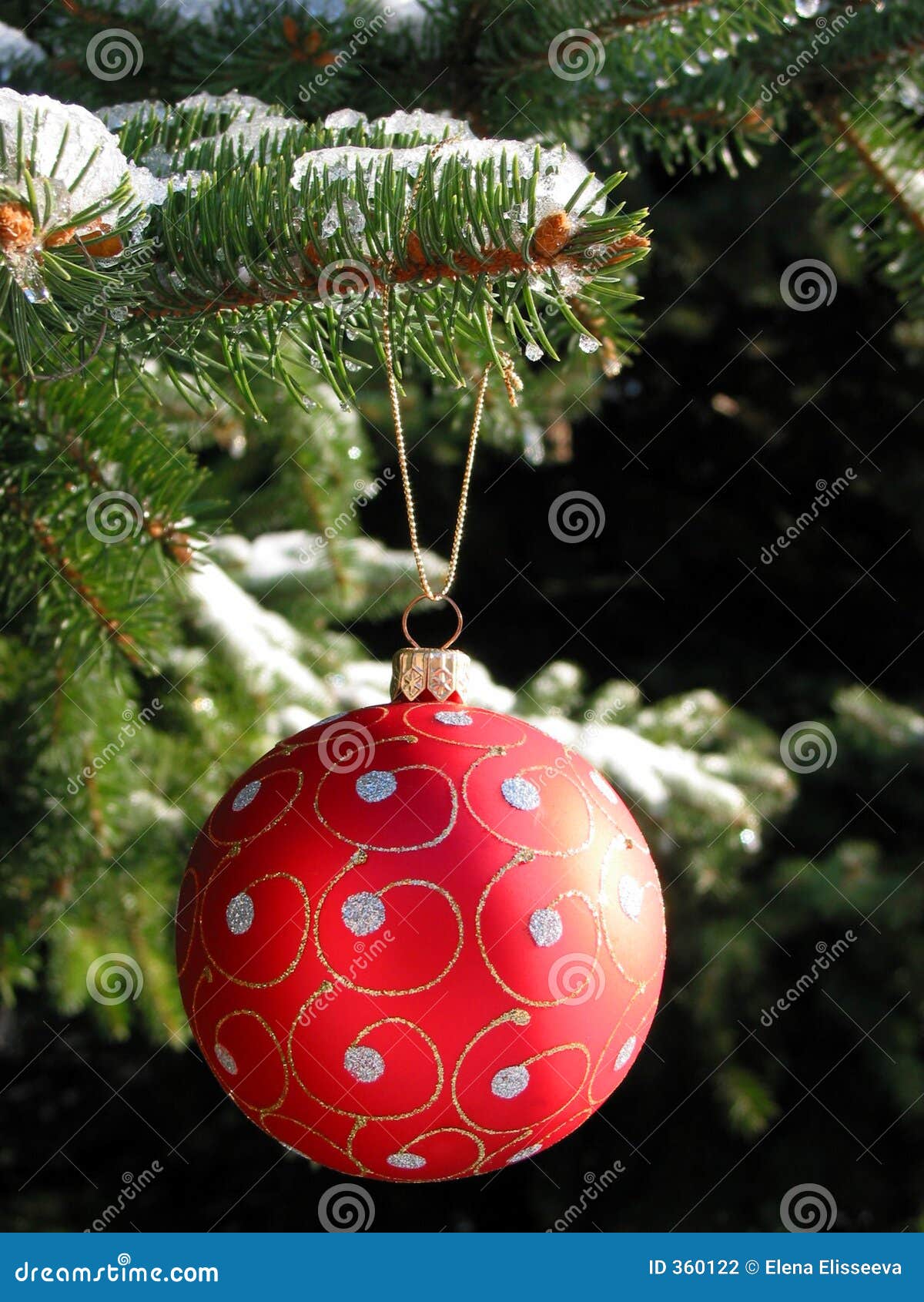 Red Christmas Ball on Fir Tree Stock Photo - Image of pine, needle: 360122