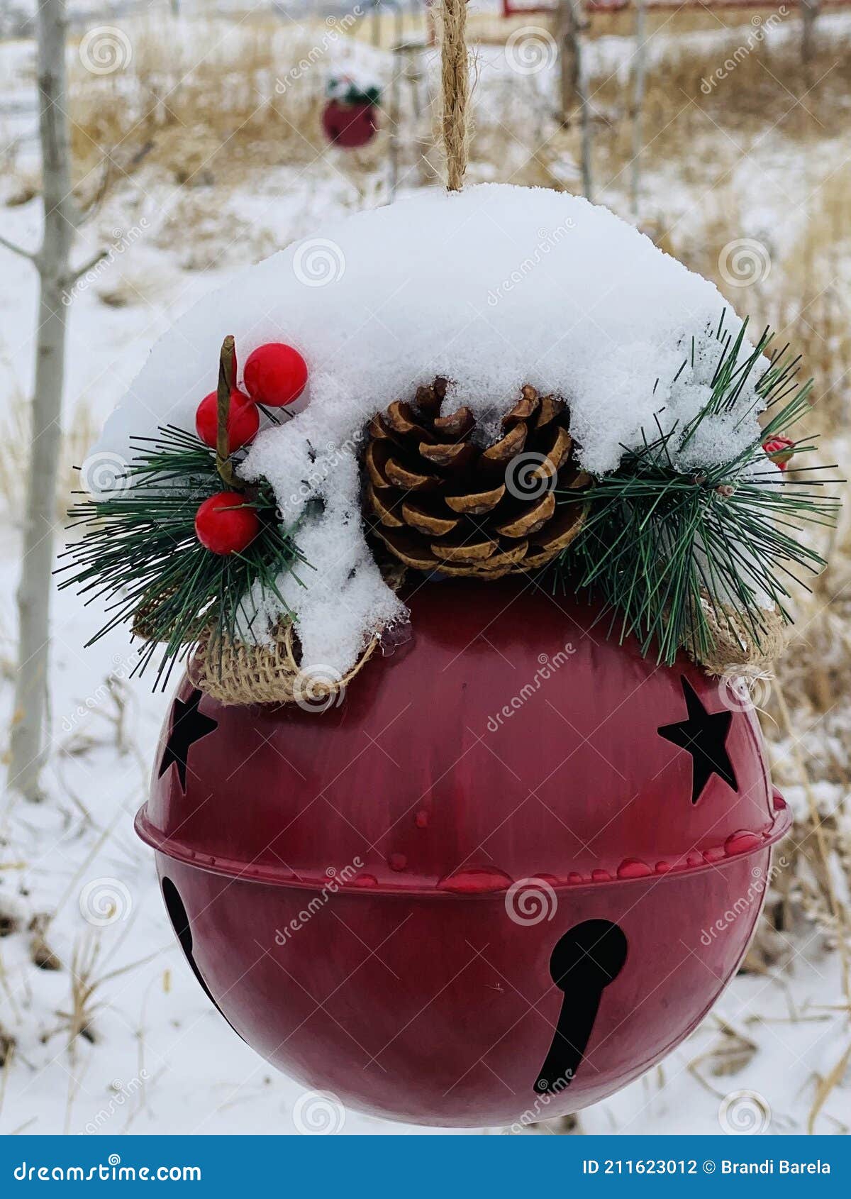 Red Christmas Bell in snow stock photo. Image of food - 211623012