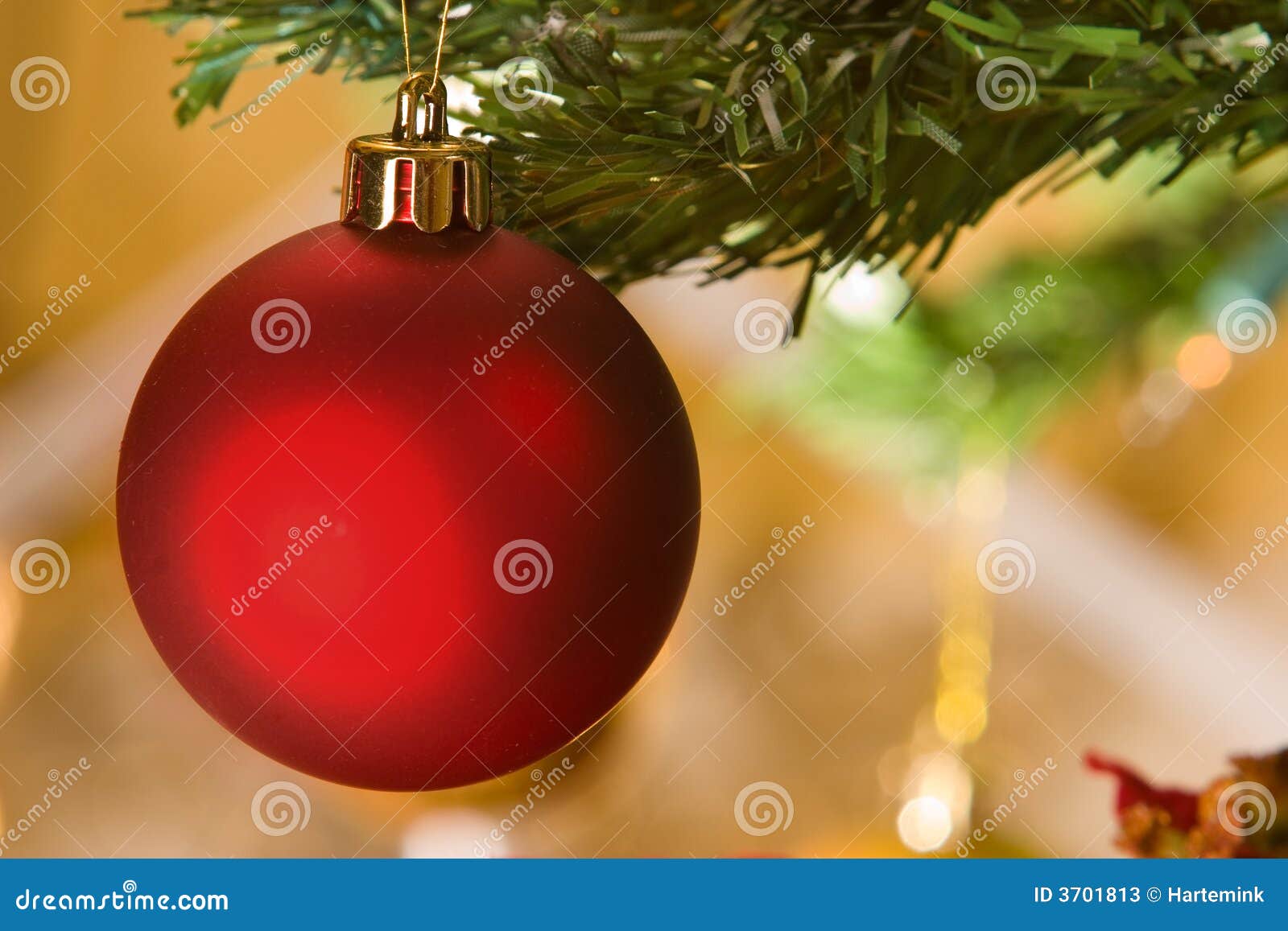 Red Christmas Ornament in Christmas Tree Stock Image - Image of tree ...