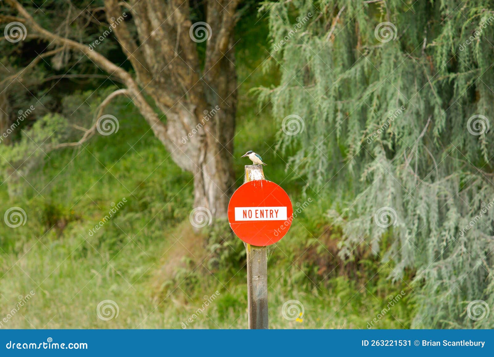 Red Circular No Entry Sign on Post Stock Image - Image of sign, nature ...
