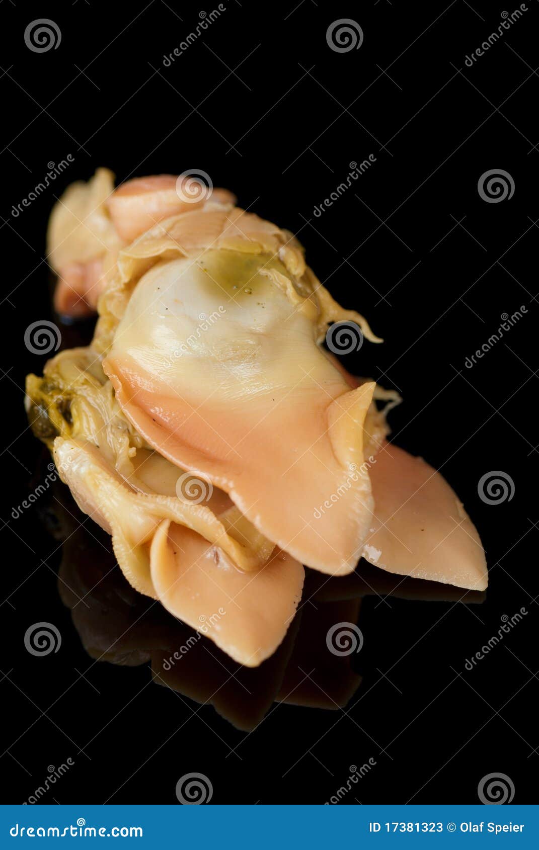 Red stock image. Image of mollusk, macha, healthy, pink - 17381323