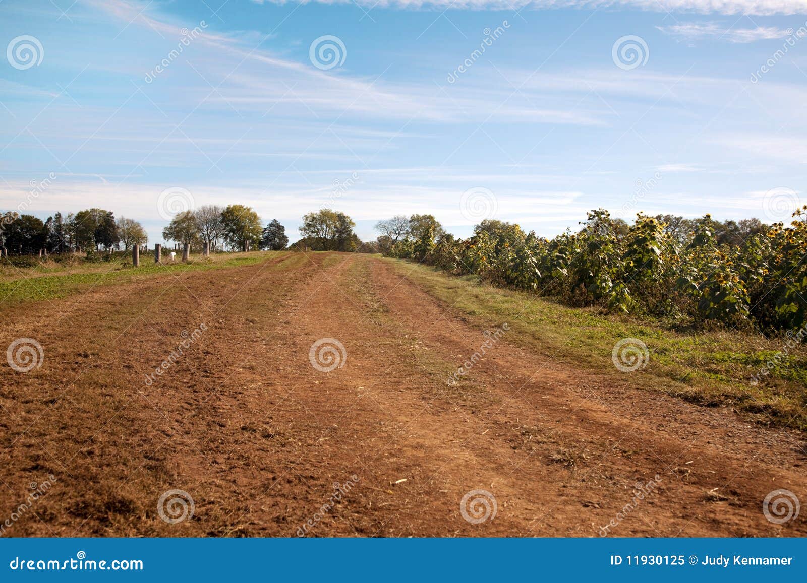 Red Clay Farm Road with Blue Sky Stock Image - Image of horizon, beauty ...