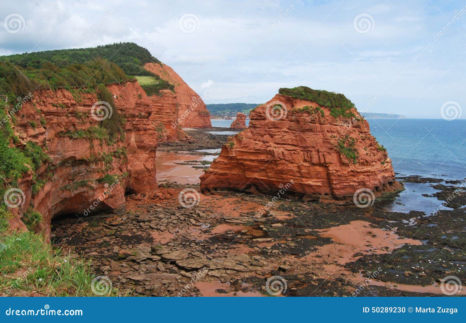 Red cliffs in Devon. stock photo. Image of headland, bedrock - 50289230