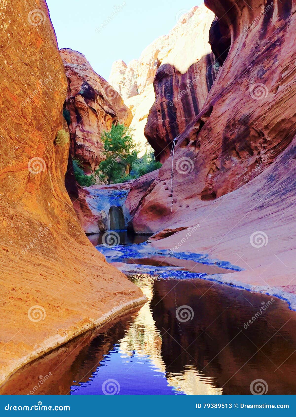 Red Cliffs - Hurricane Utah Stock Image - Image of rope, canyon: 79389513