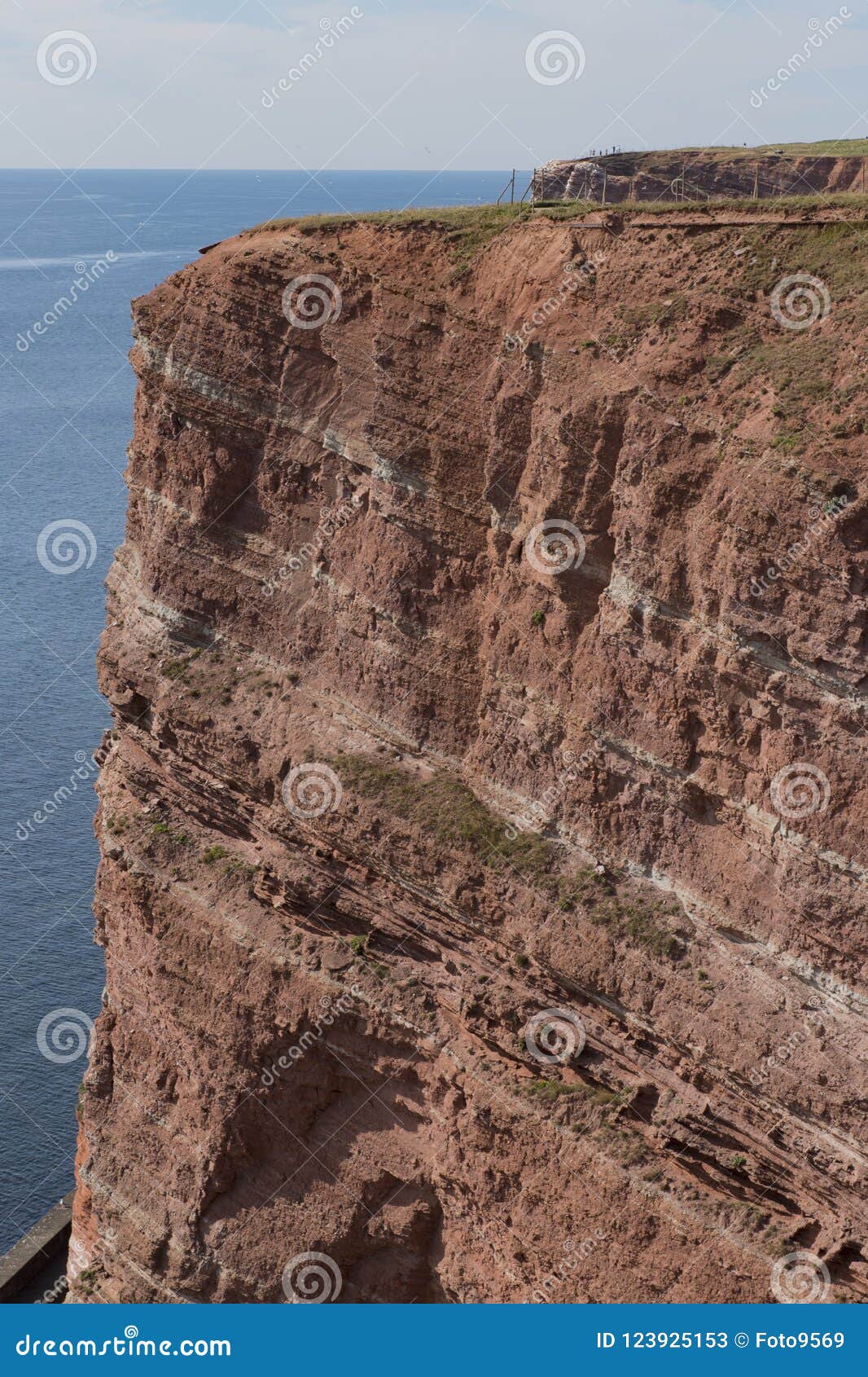 The Red Cliffs on Island Helgoland Germany Stock Image - Image of bird ...