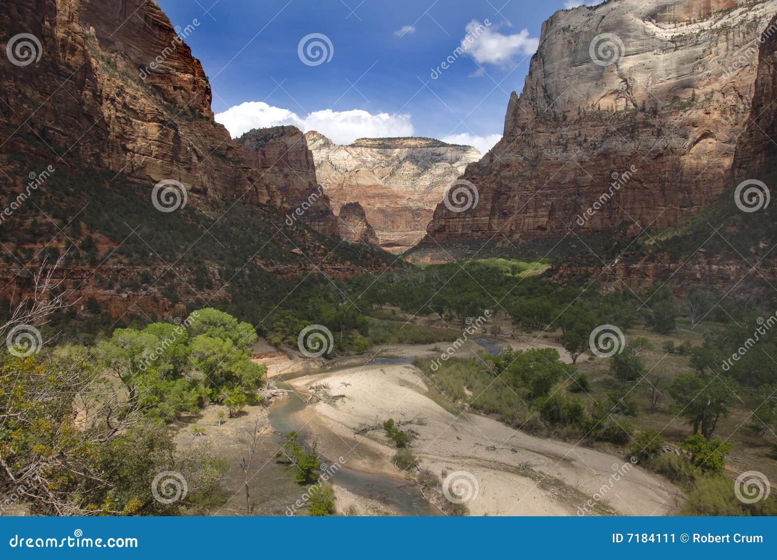 Red cliffs of Zion stock image. Image of states, environmentalism - 7184111