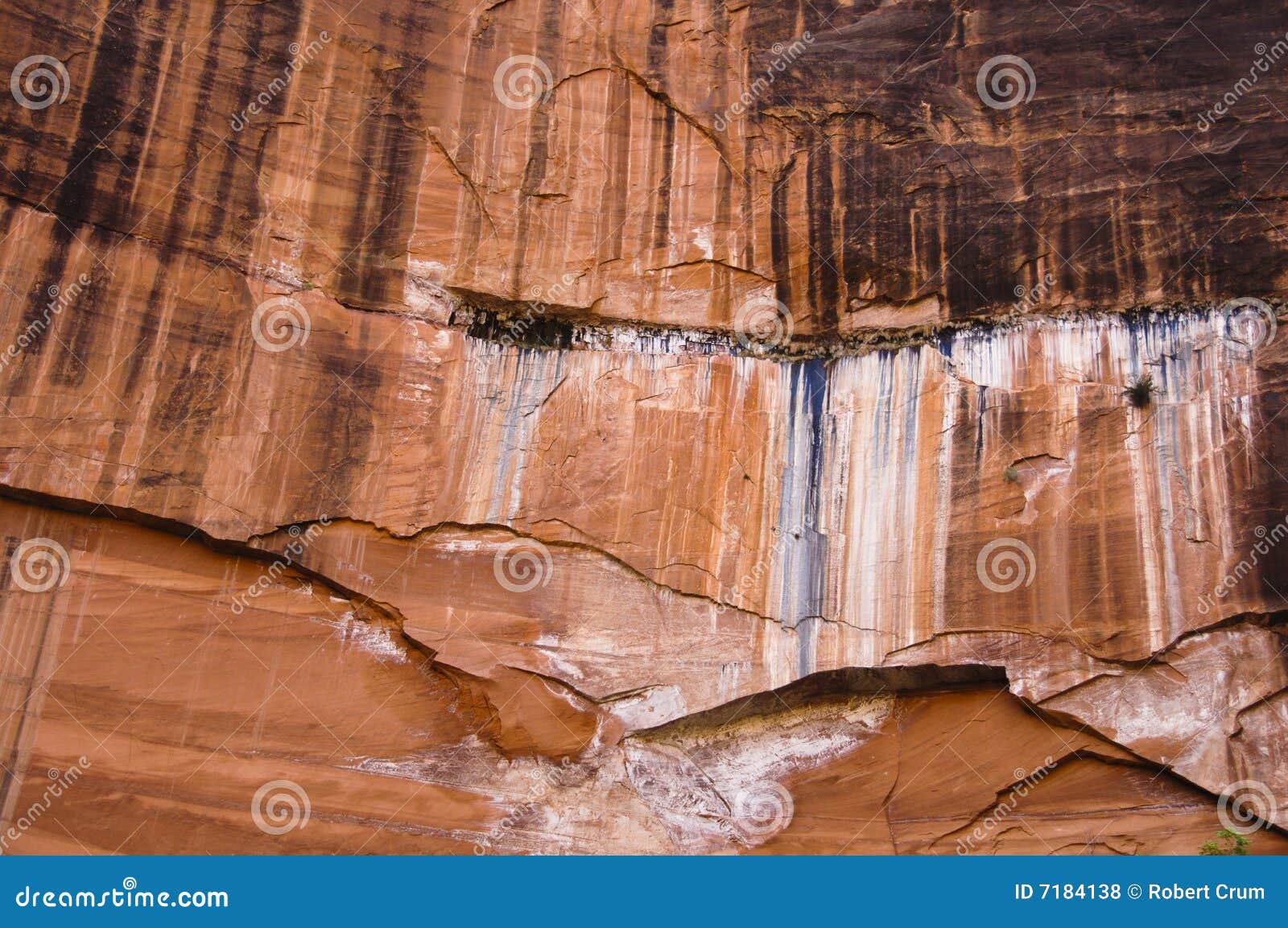 Red cliffs of Zion stock photo. Image of stone, national - 7184138