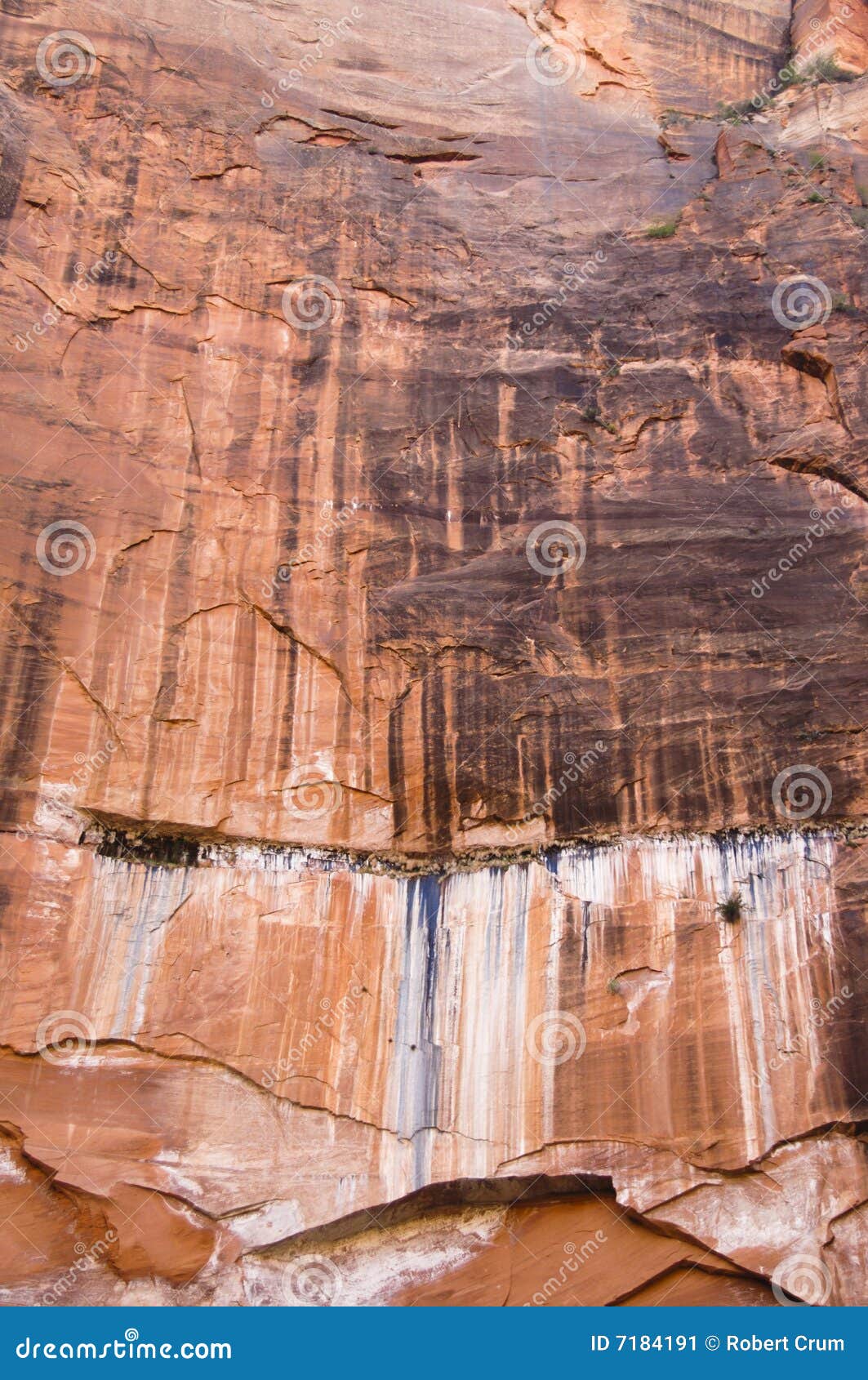 Red cliffs of Zion stock image. Image of environment, america - 7184191
