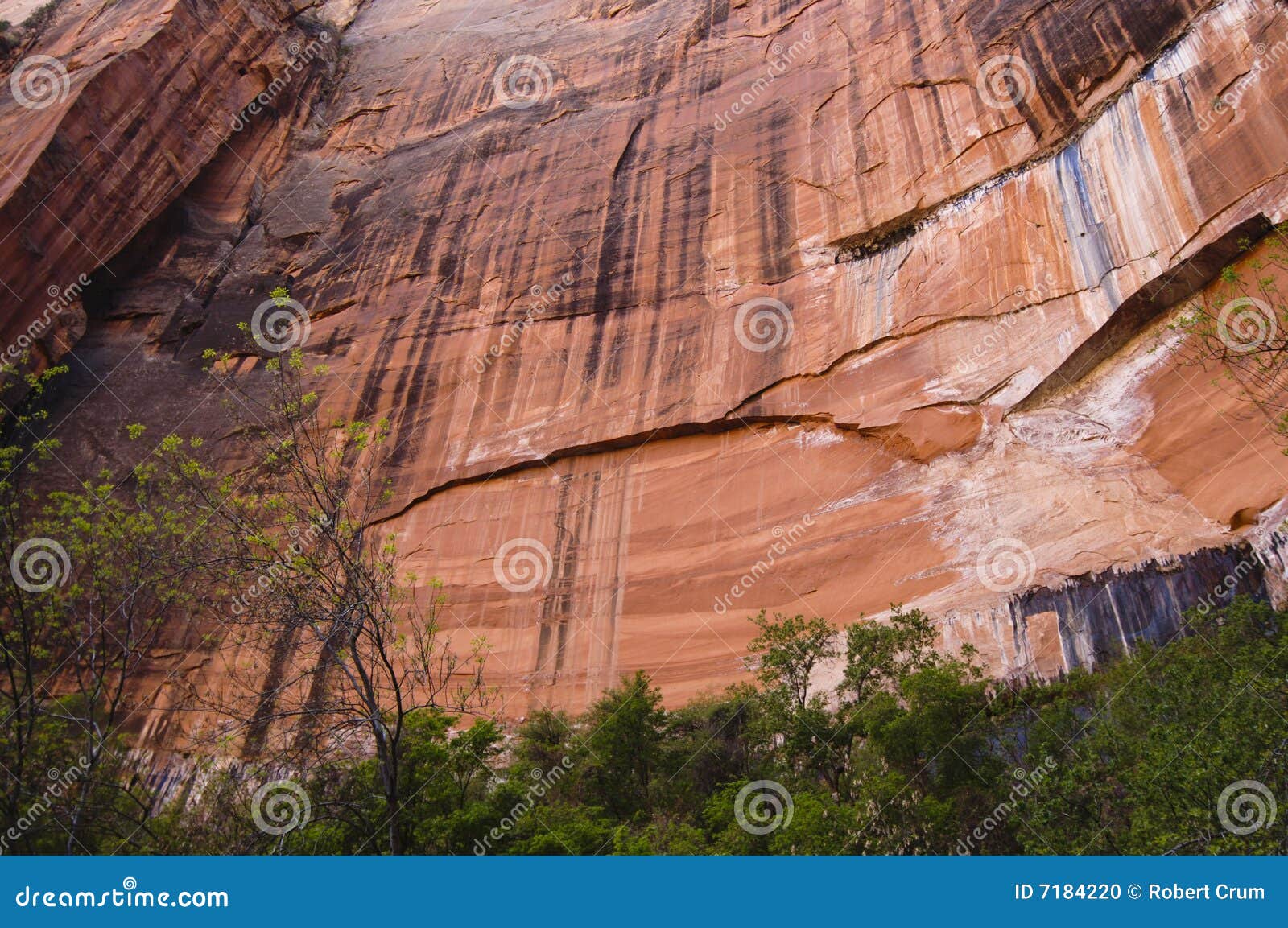 Red cliffs of Zion stock photo. Image of national, environment - 7184220