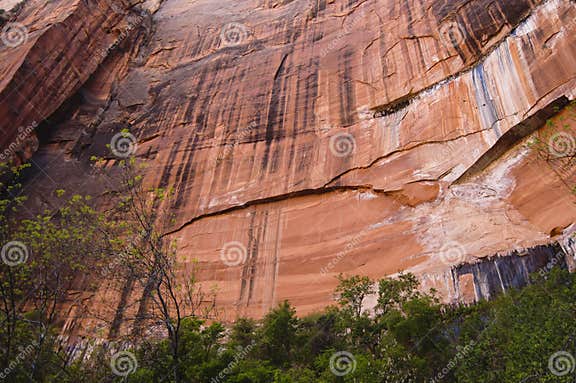 Red cliffs of Zion stock photo. Image of national, environment - 7184220