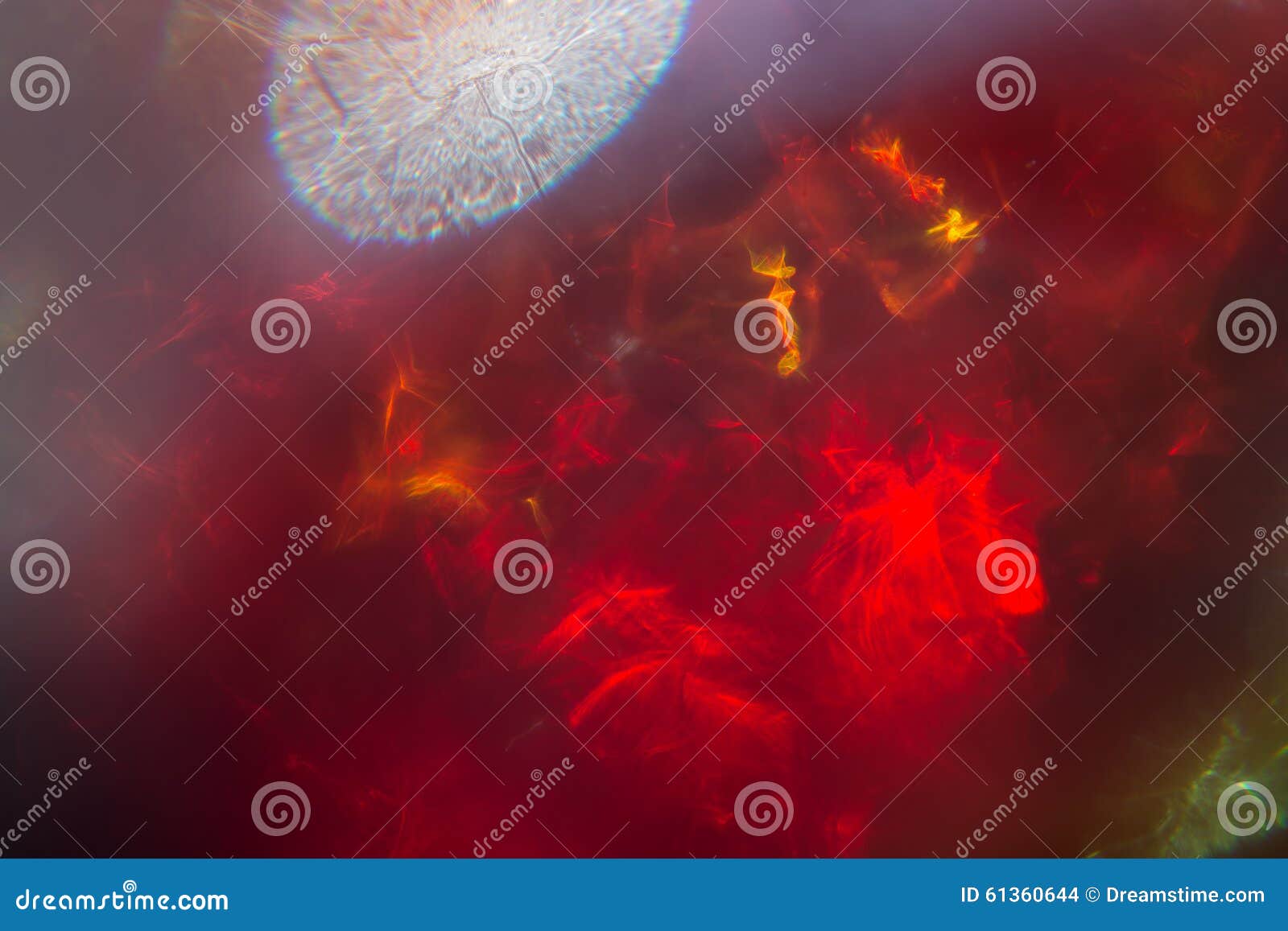 Red Close Up Glass Marble 20 Stock Photo - Image of cracked, crystal ...