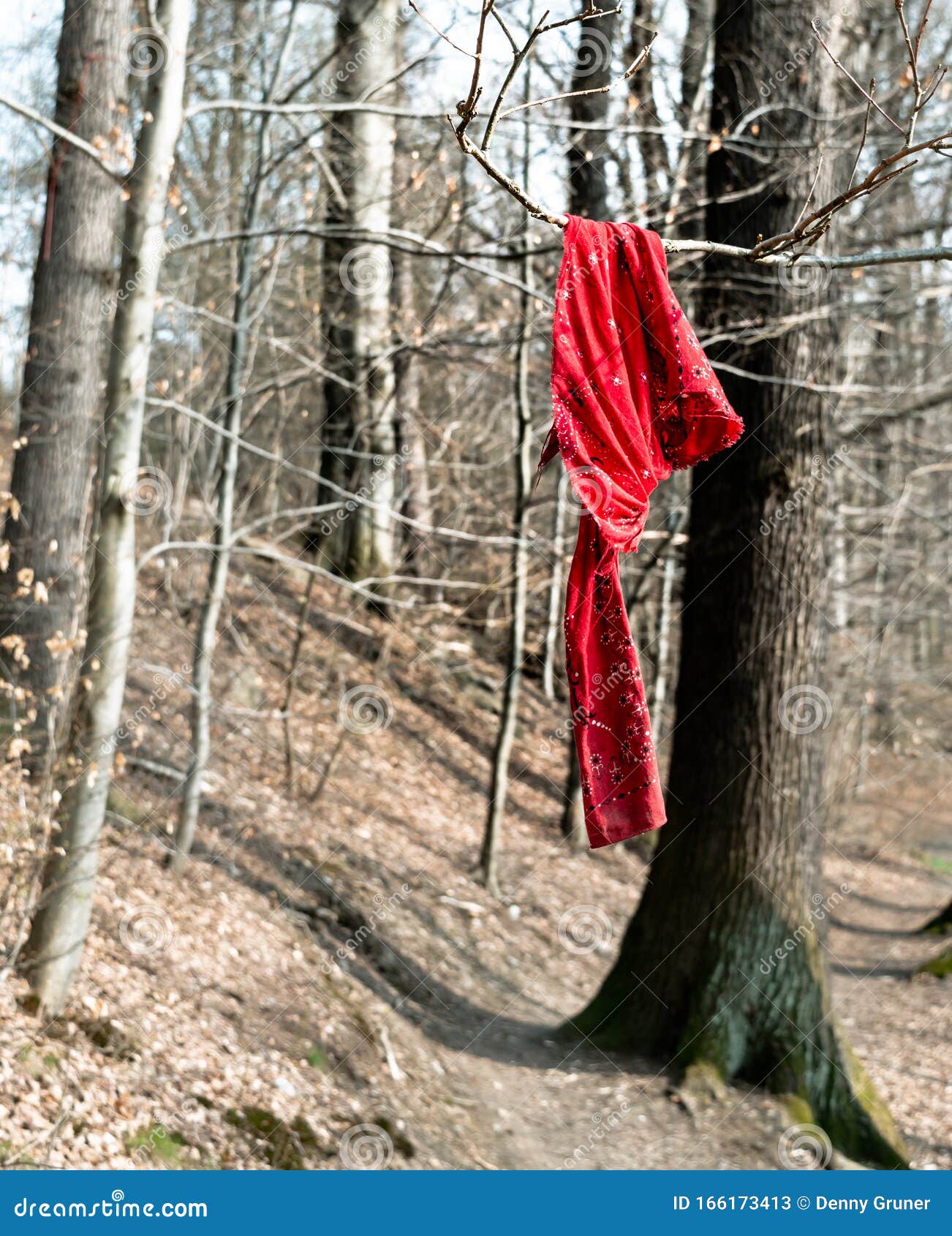 Red cloth on a tree stock image. Image of little, country - 166173413
