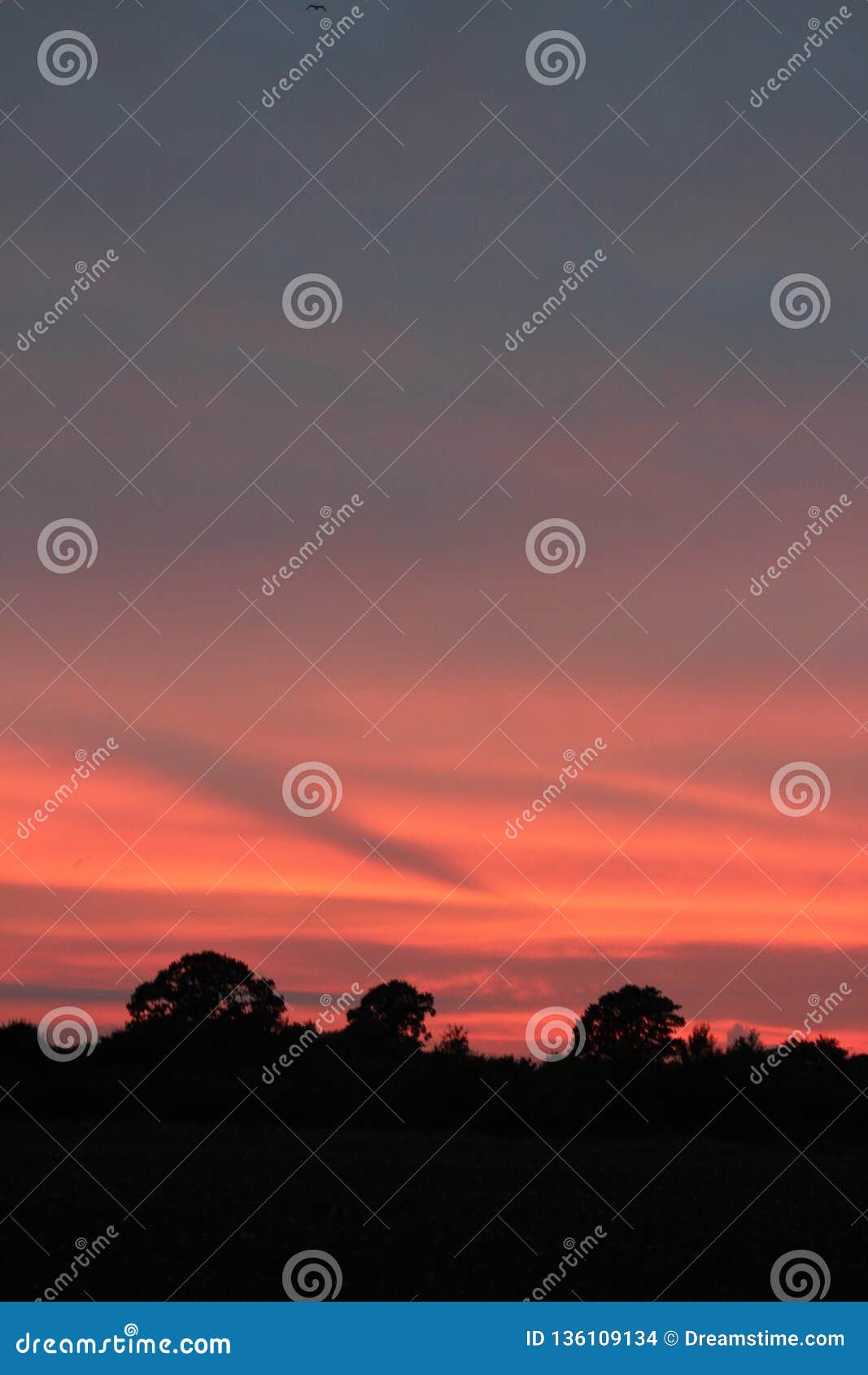 Red cloud sky wallpaper stock photo. Image of size, time - 136109134