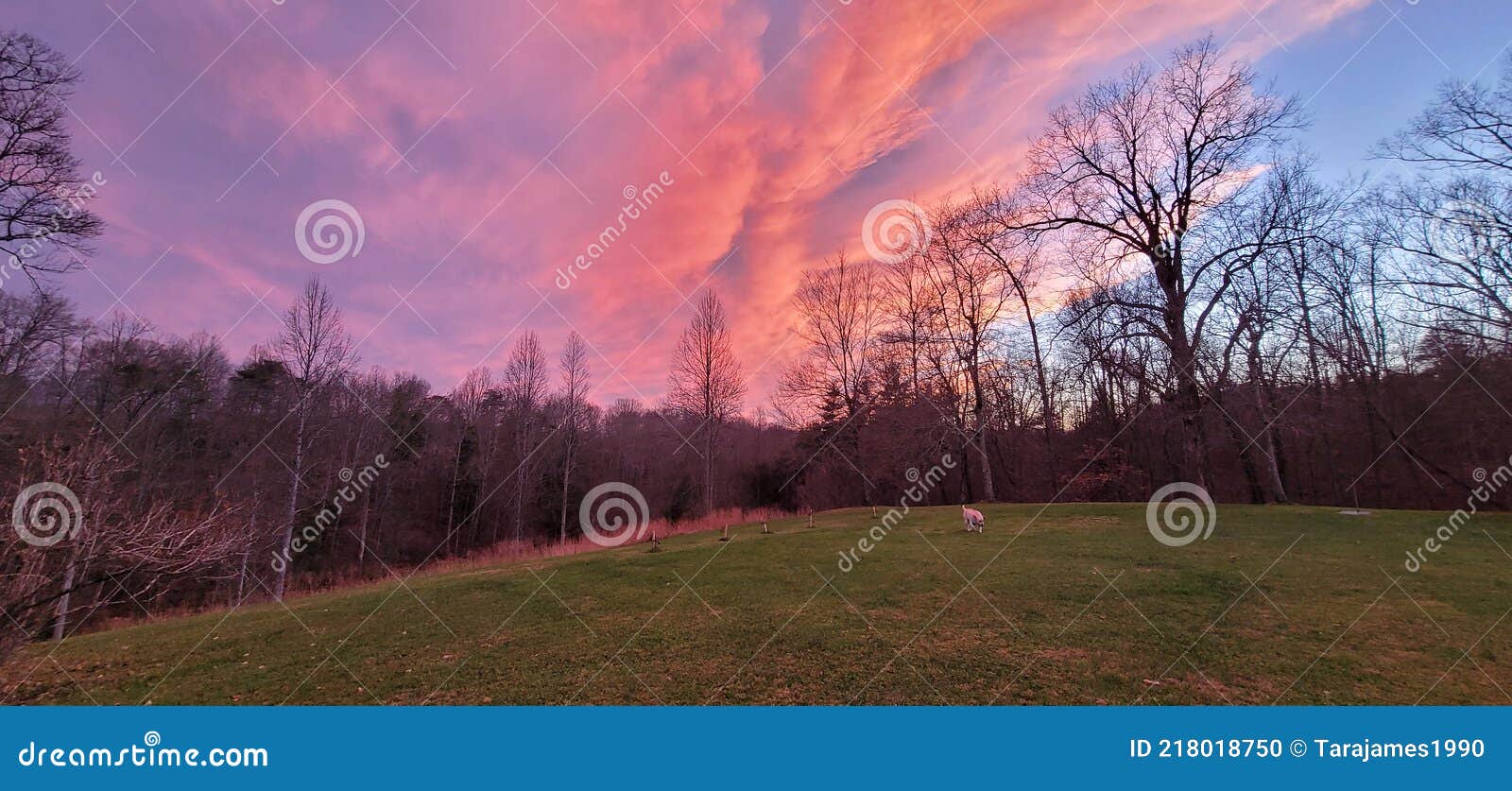 Red clouds at sunset stock photo. Image of horizon, autumn - 218018750
