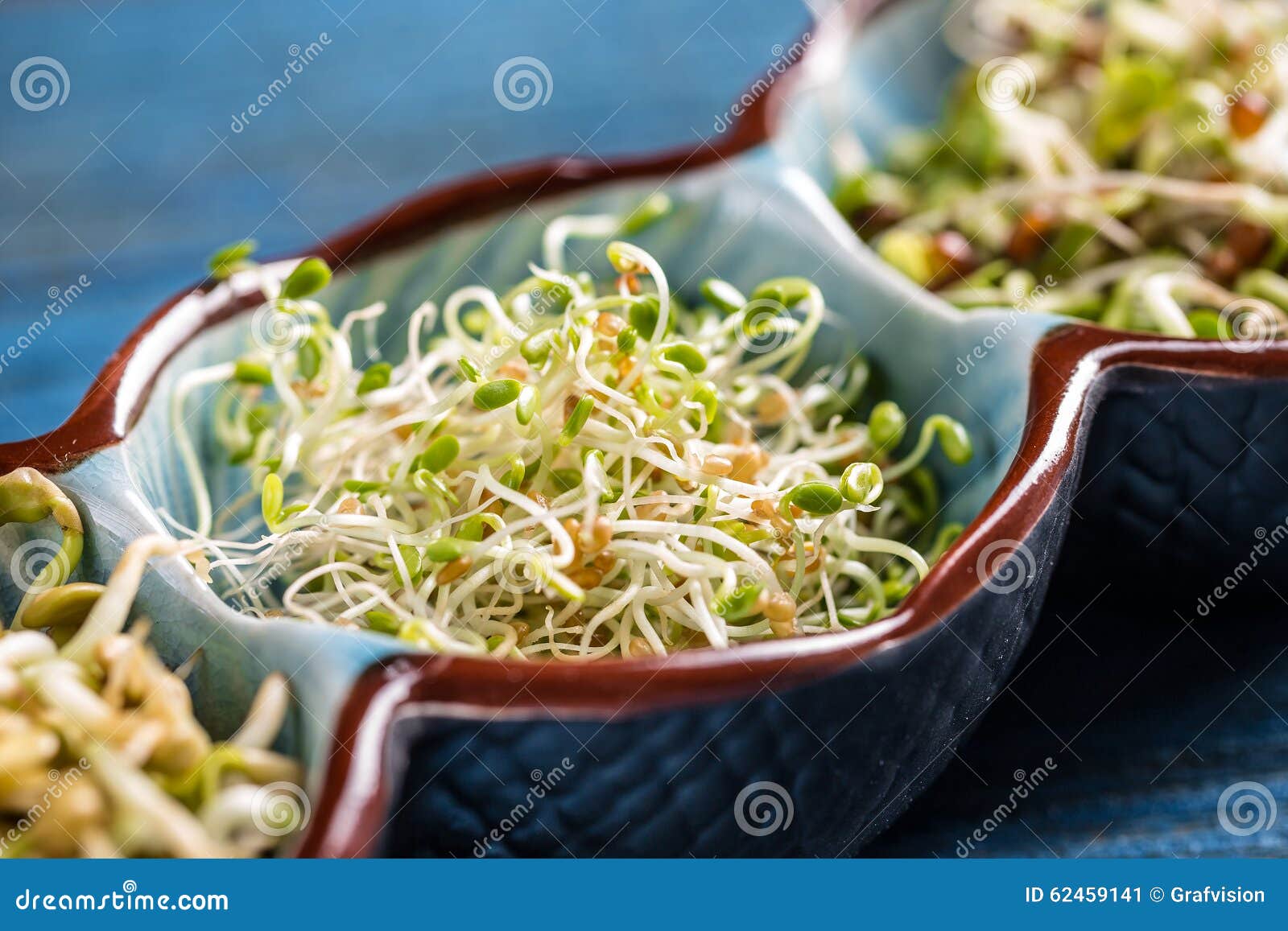 Red clover sprout stock image. Image of food, green, growth - 62459141