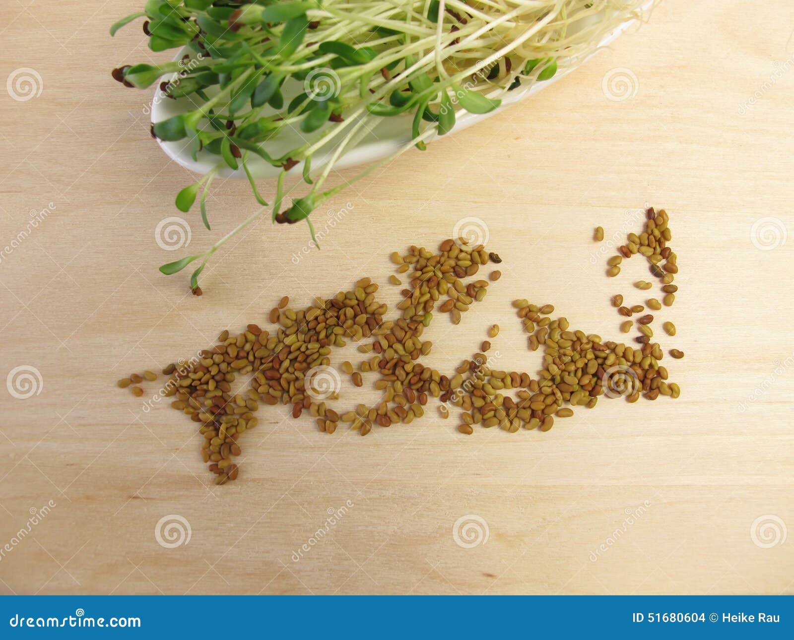 Red Clover Sprouts and Seeds Stock Photo - Image of sprouts, sprouting ...