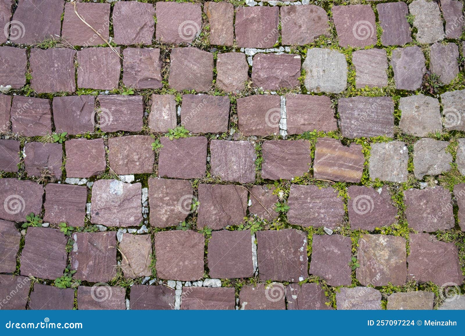 Red Cobble Stone Path with Green Weed between the Stones Stock Photo ...