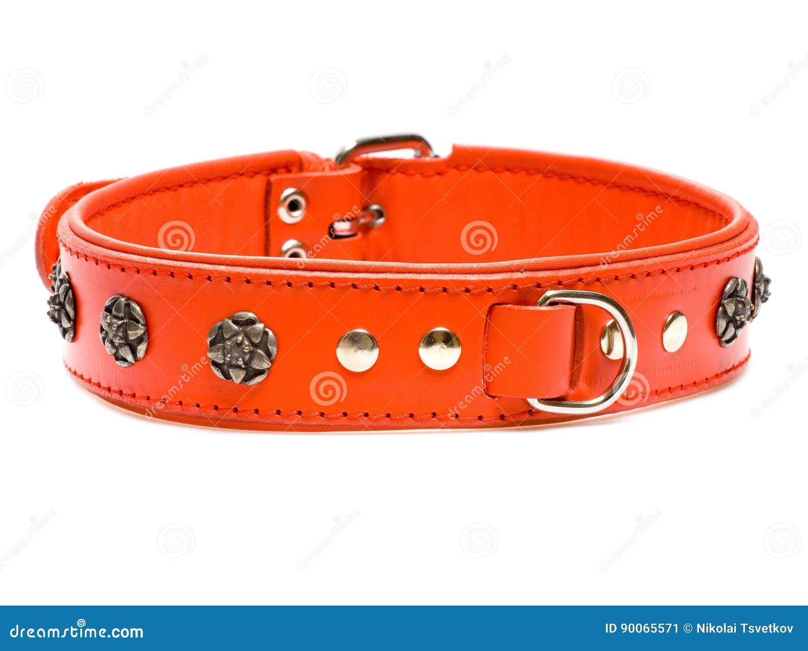 Red collar with rivets stock image. Image of harness - 90065571