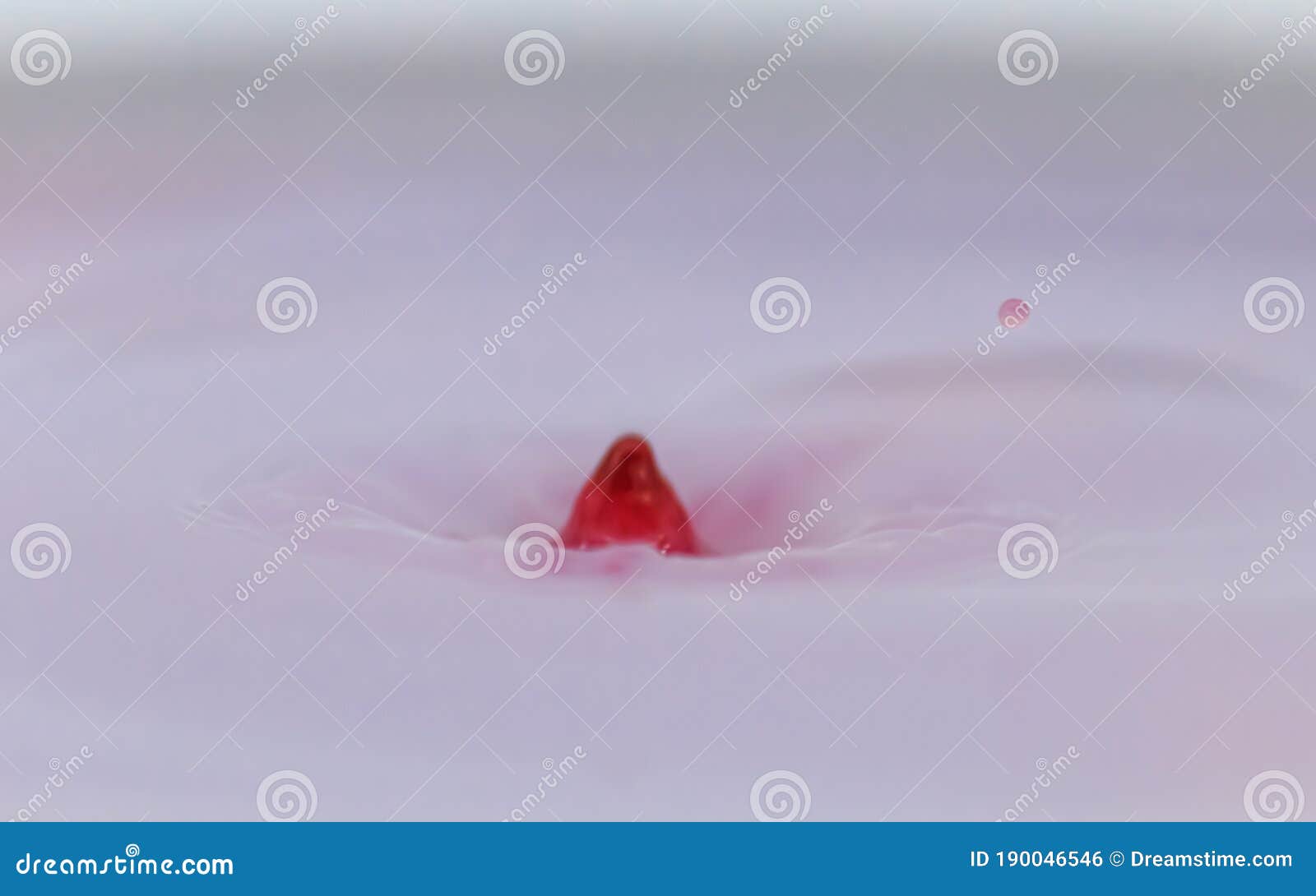 Red Color Water Drop and Splash Stock Photo - Image of natural, water ...