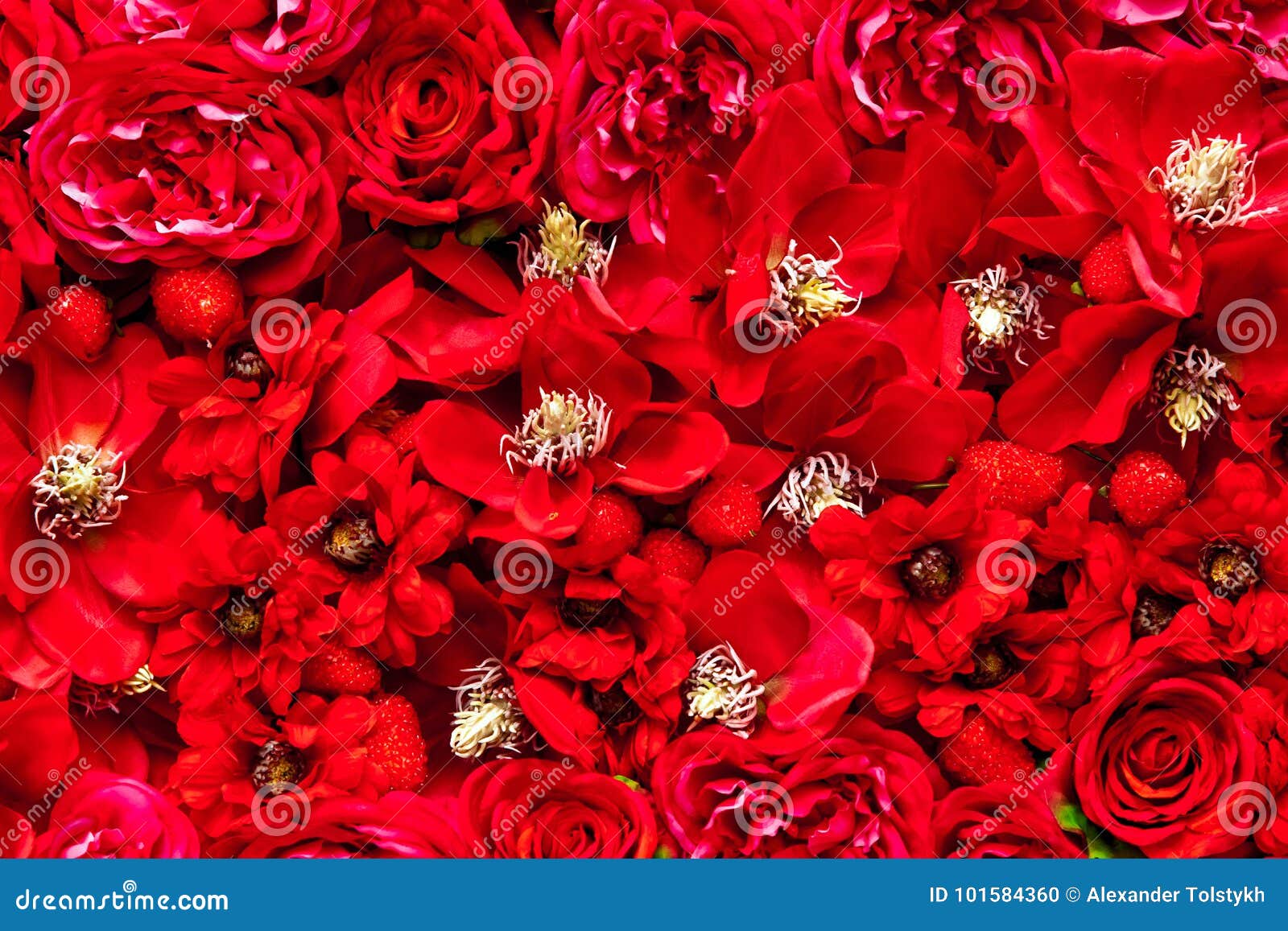 Red color flowers stock photo. Image of design, nature - 101584360
