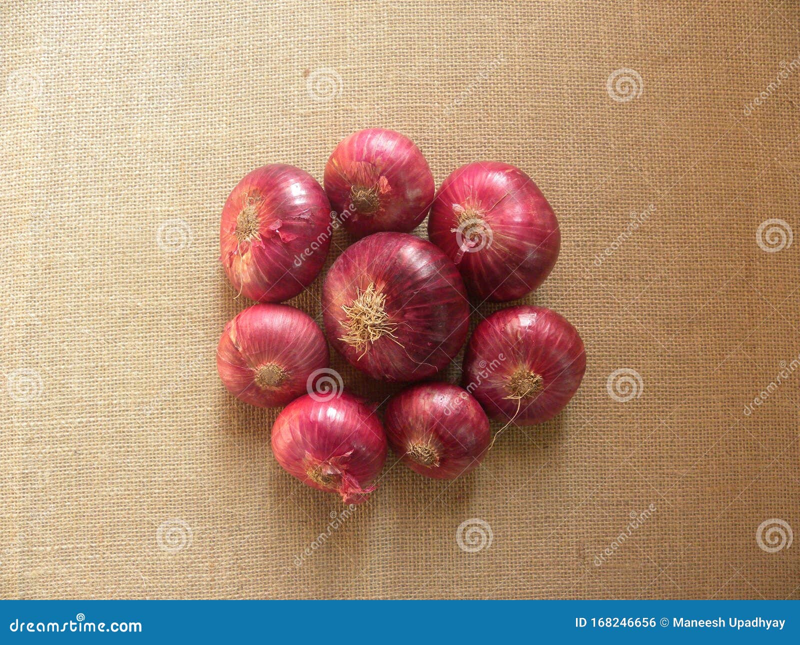 Red color whole onions stock photo. Image of aromatic - 168246656