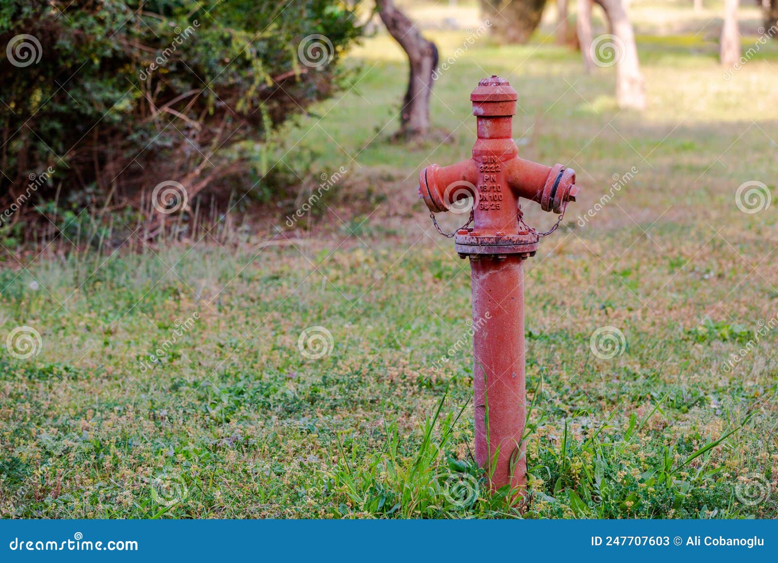 Red Colored Fire Hydrant on a Green Field Stock Image - Image of hose ...