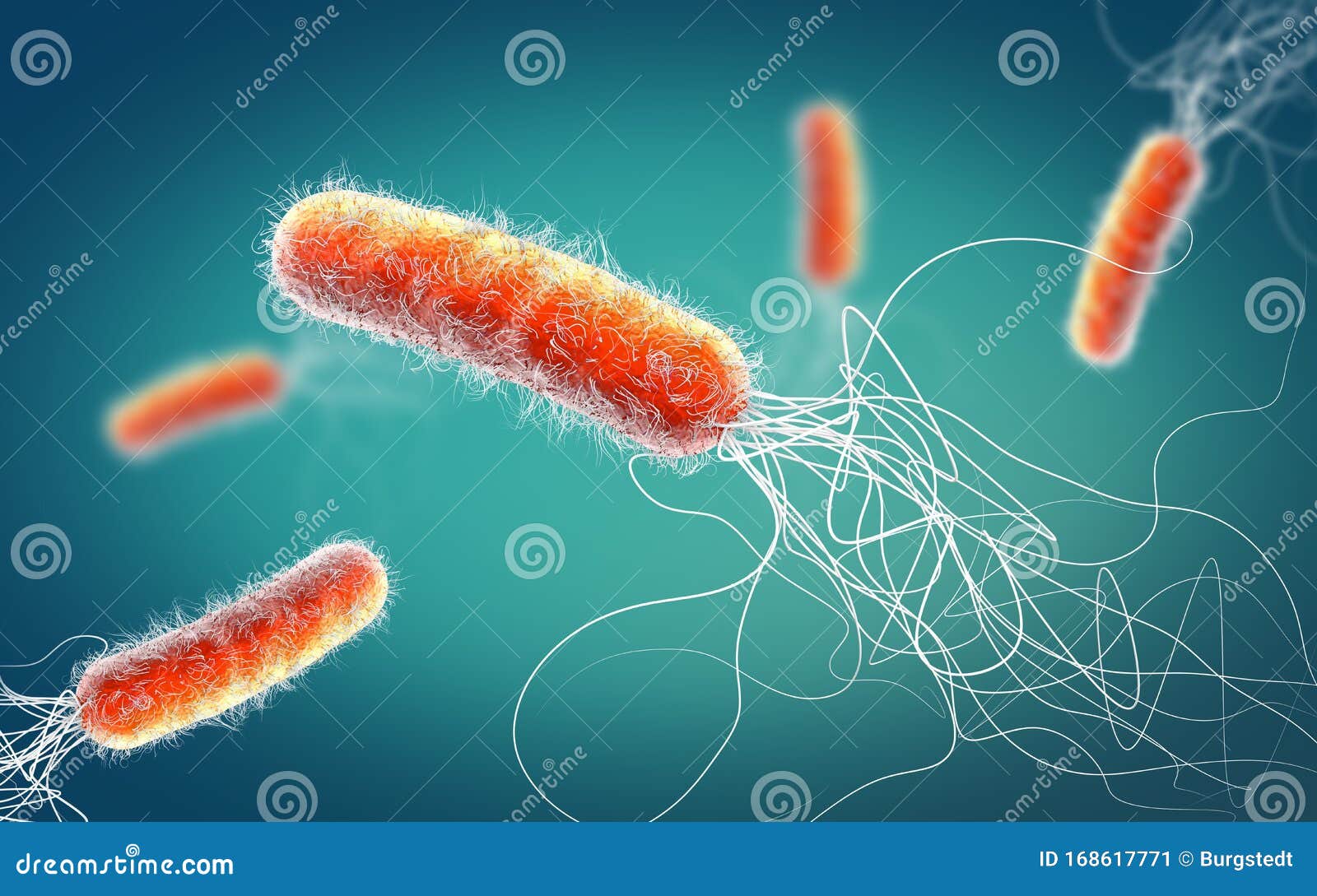 Red Colored Multiple Antibiotic Resistant Pseudomonas Aeruginosa ...