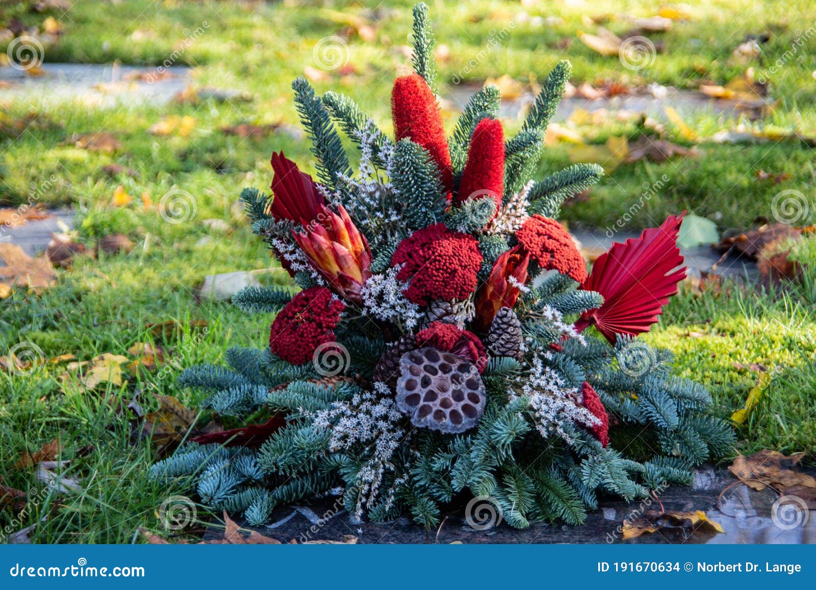 Red Colorful Cemetery Decorations on the Meadow Stock Photo - Image of ...