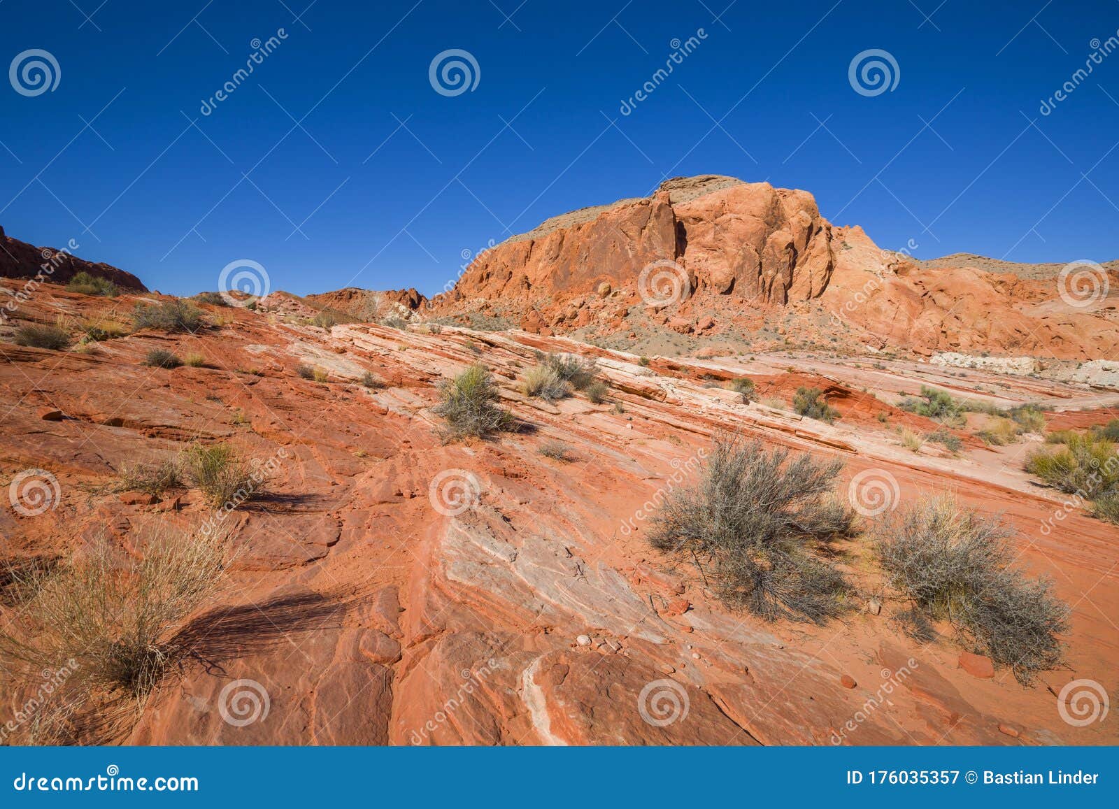 Coloured Rock Layers in Valley of Fire, USA Stock Image - Image of ...