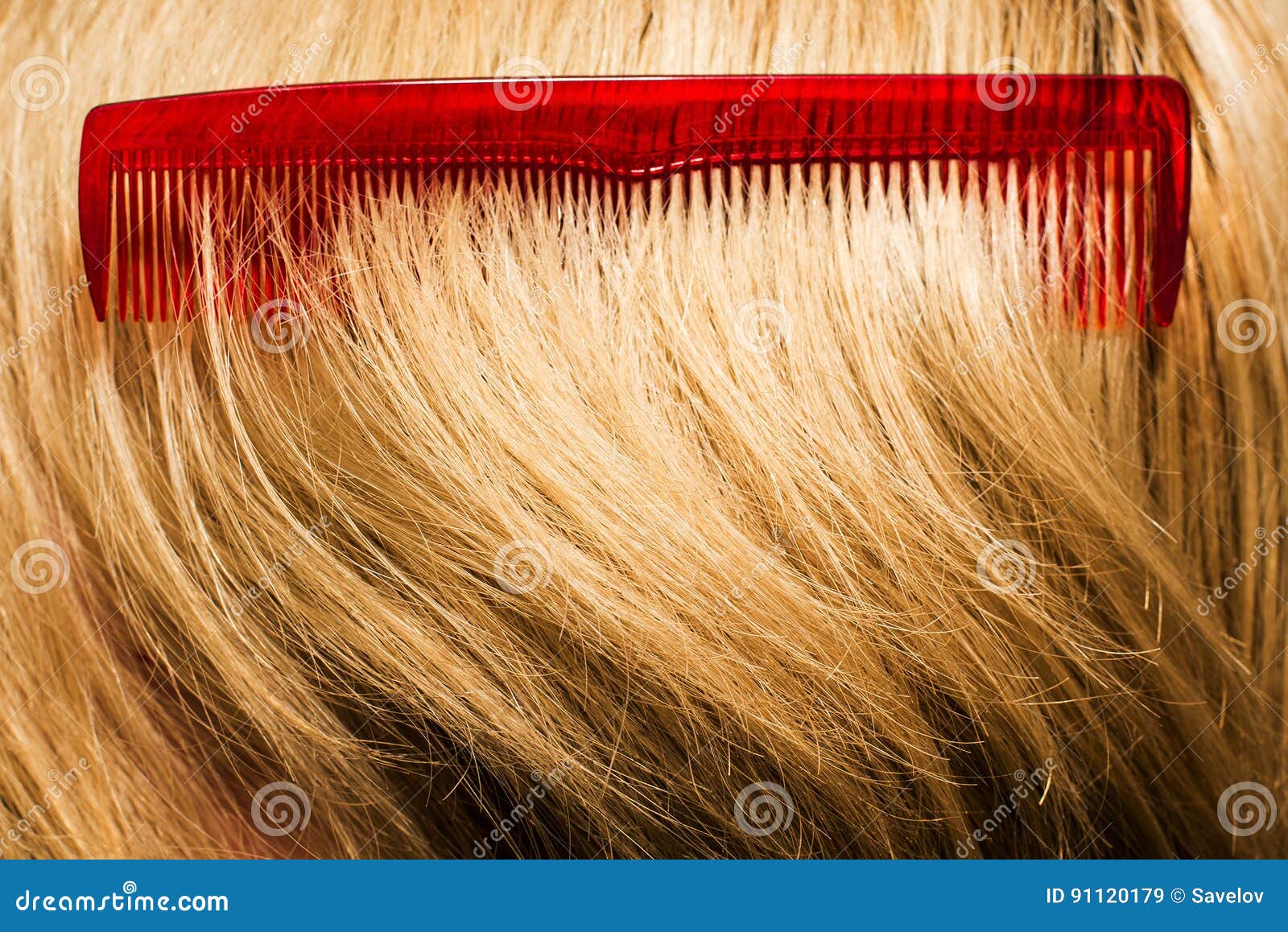Red comb on blond hair stock image. Image of natural - 91120179
