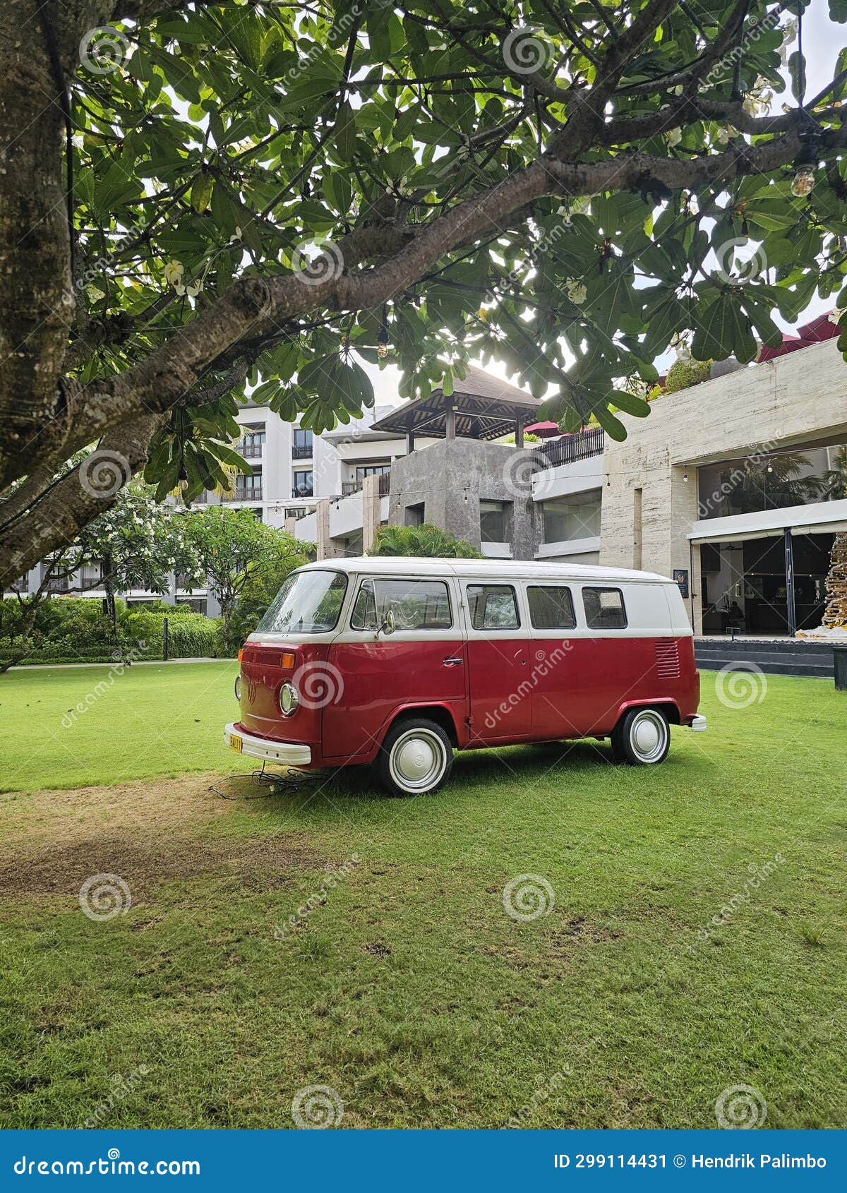 Red COMBI Car in Garden at Bali Island Stock Image - Image of garden ...