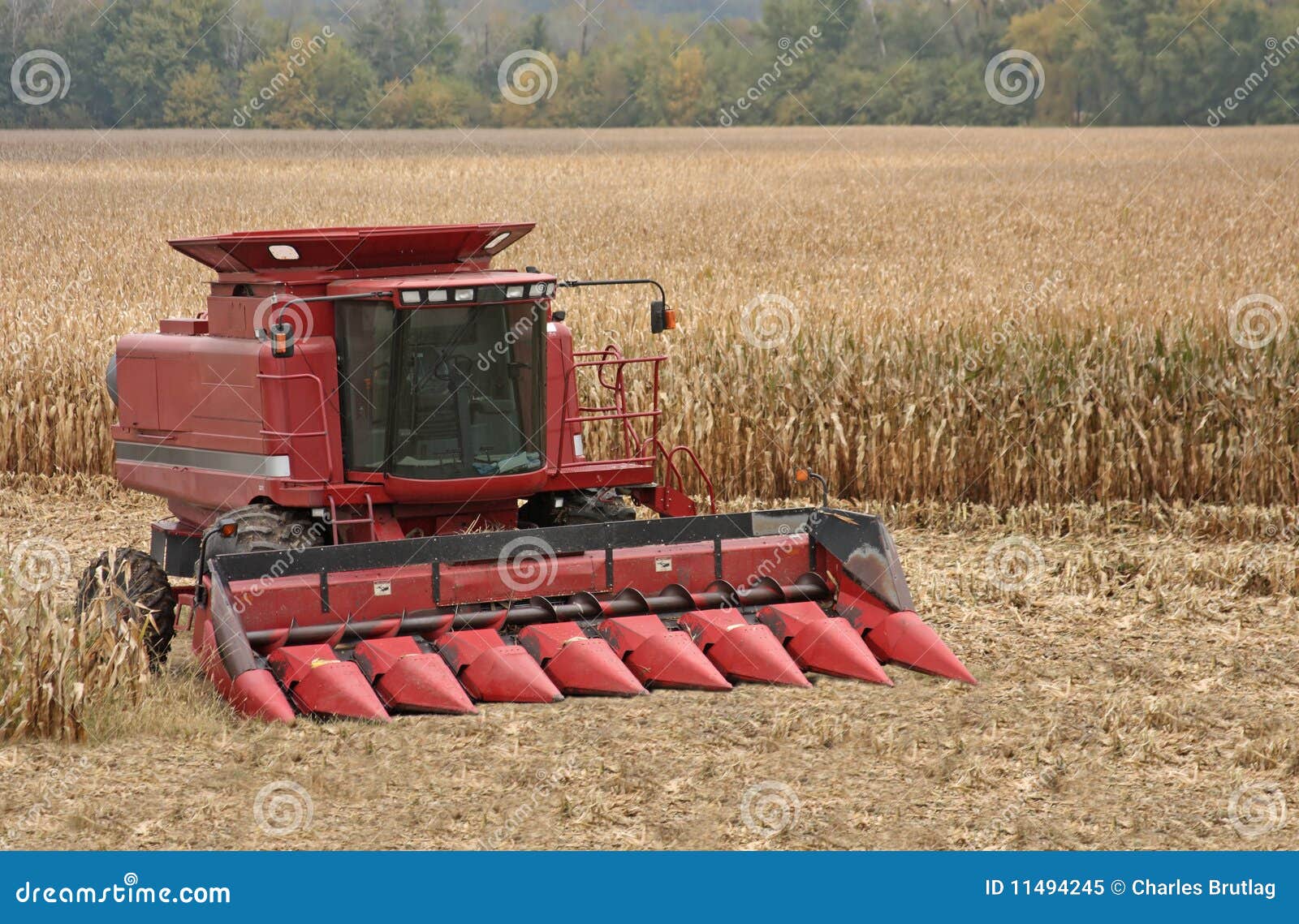 Red Combine stock image. Image of harvesting, field, rural - 11494245