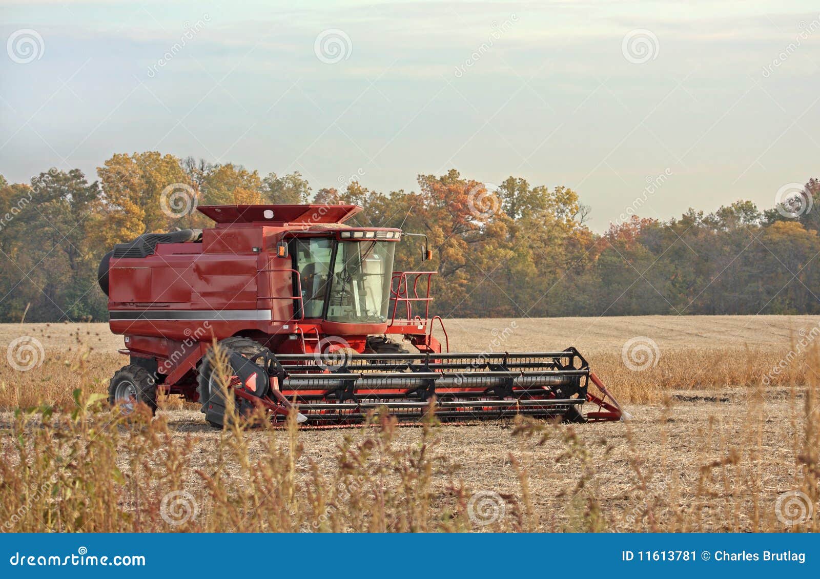 Red Combine stock image. Image of grain, autumn, farm - 11613781