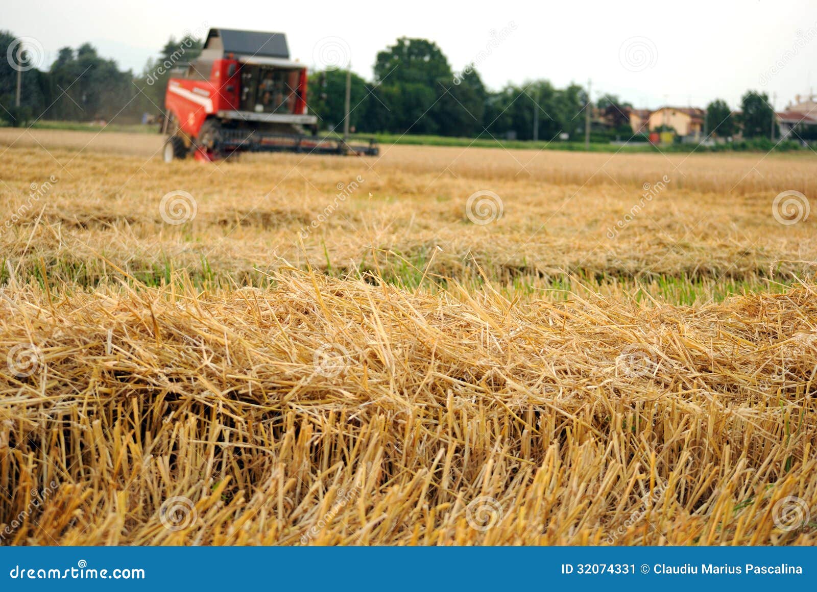 Red combine harvester stock image. Image of harvest, gold - 32074331