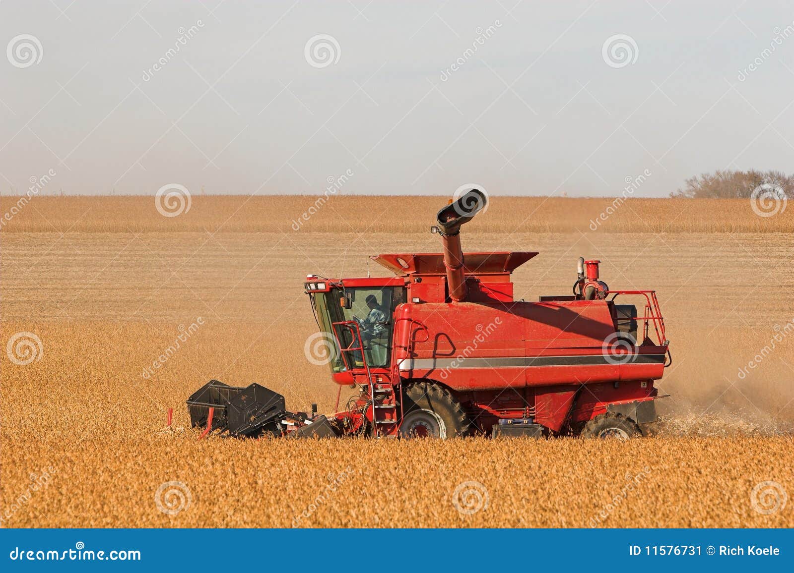 Red Combine in Soybean Field Stock Image - Image of fall, combine: 11576731