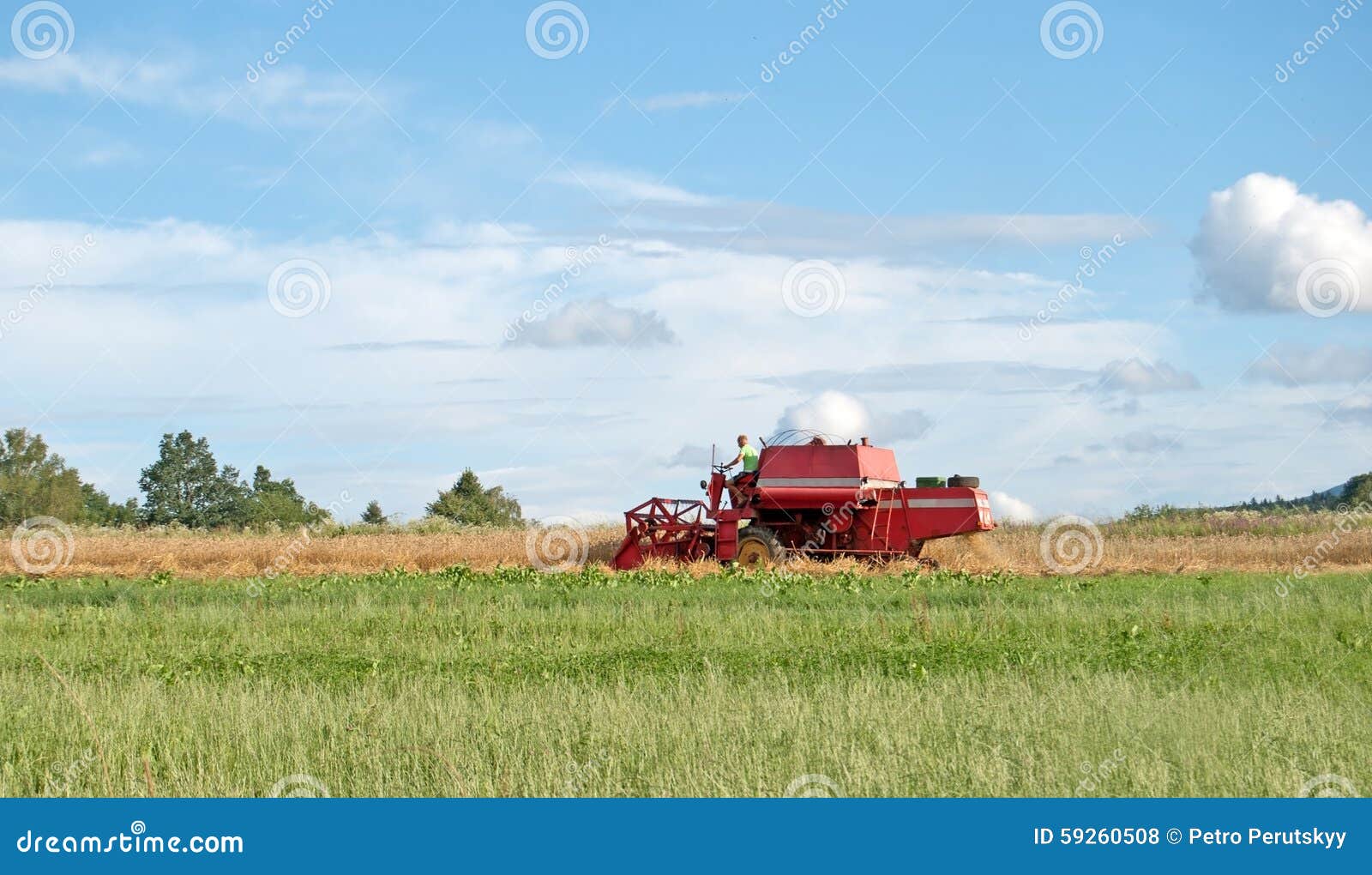 Red combine stock photo. Image of wheat, harvest, grain - 59260508