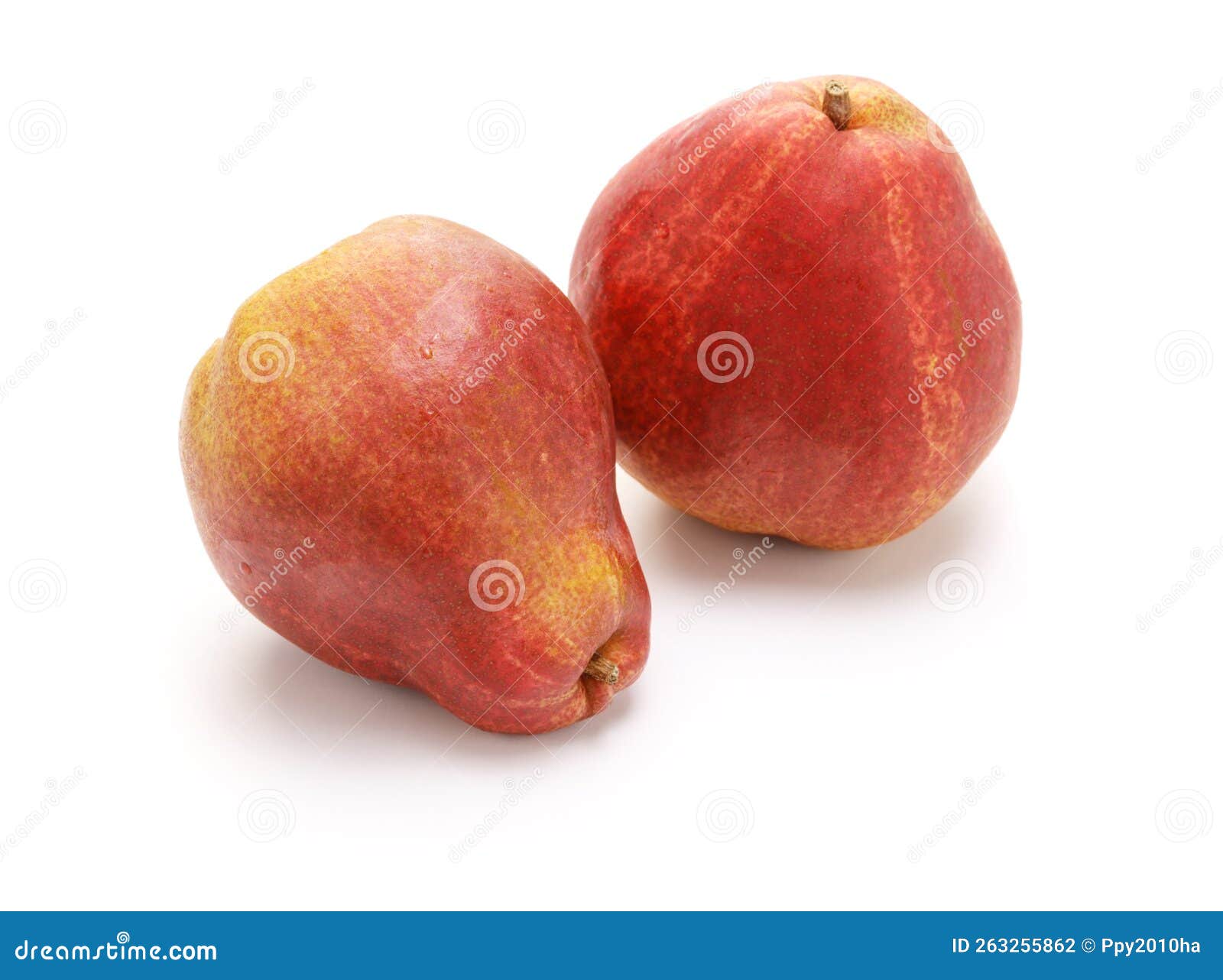 Red comice pears stock photo. Image of pair, isolated - 263255862