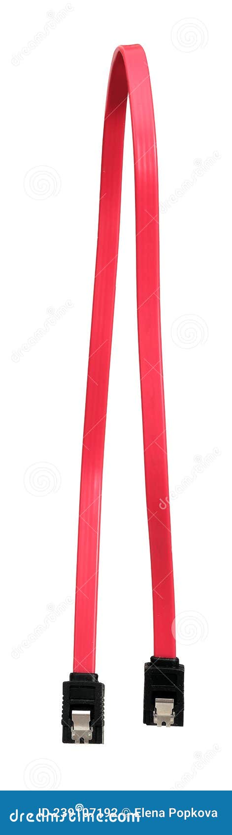 Red Computer Cable Isolated on White Background Stock Photo - Image of ...