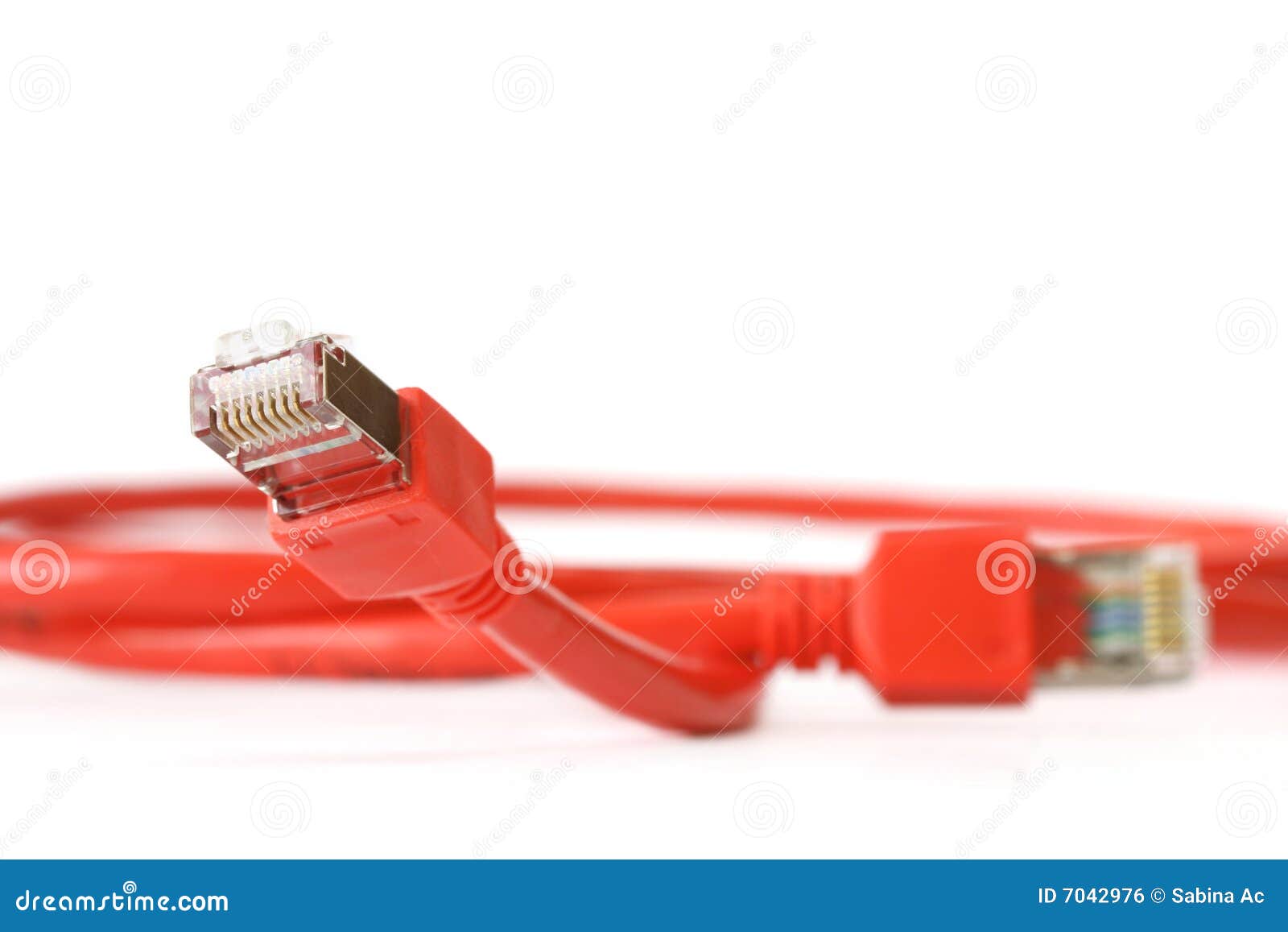 Red computer network cable stock photo. Image of object - 7042976