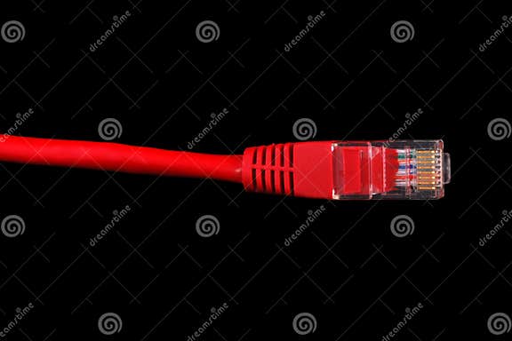 Red computer network cable stock photo. Image of colored - 9121874