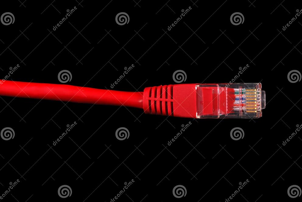 Red computer network cable stock photo. Image of colored - 9121874