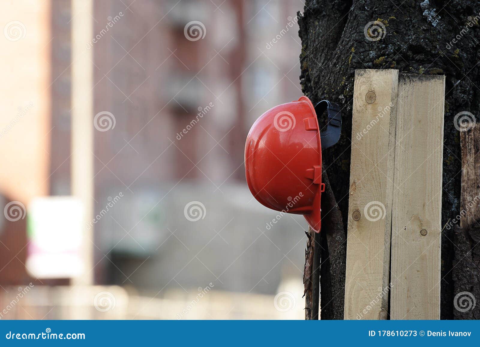 Red Construction Helmet Hanging on a Tree Stock Image - Image of tool ...