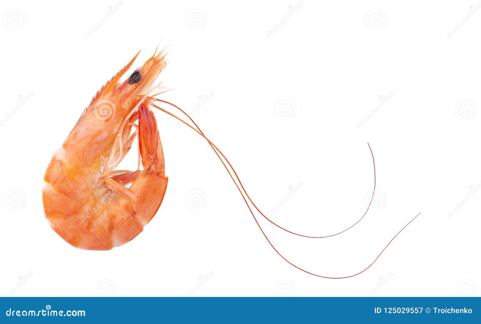 Red Cooked Prawn Or Tiger Shrimp Isolated On White Background Royalty ...