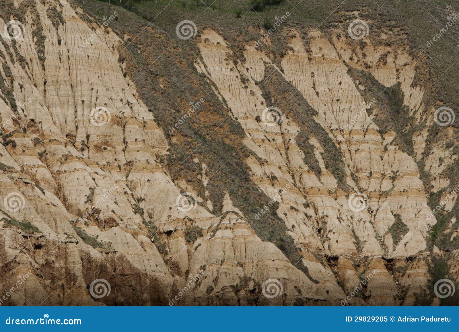 The Red Coomb stock image. Image of bird, rosie, geology - 29829205