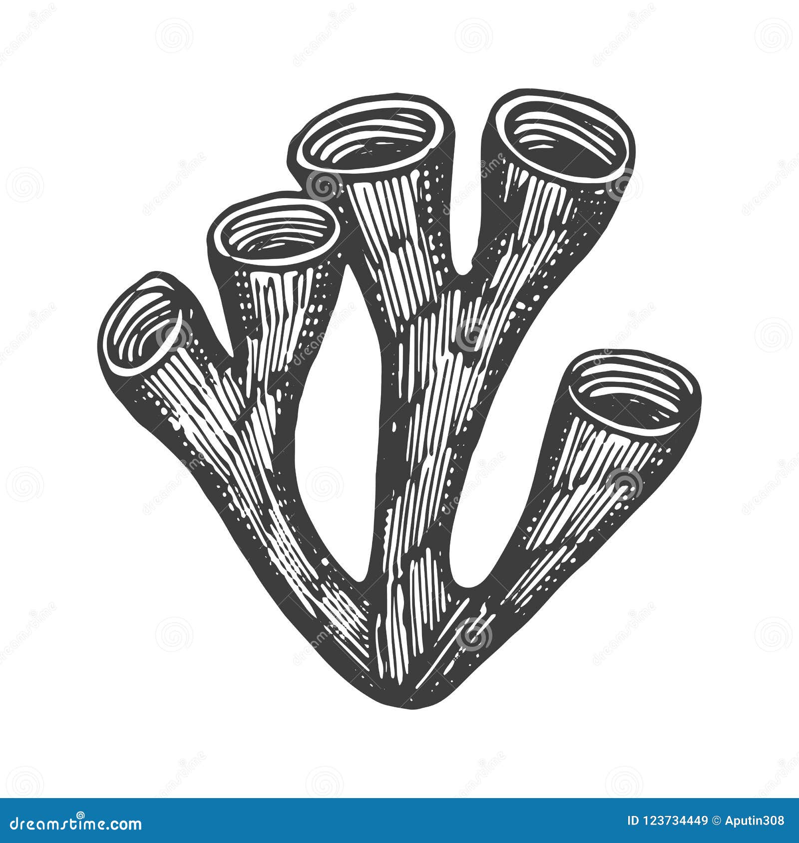 Red Coral Drawing. Marine Animal Isolated Object Stock Vector ...