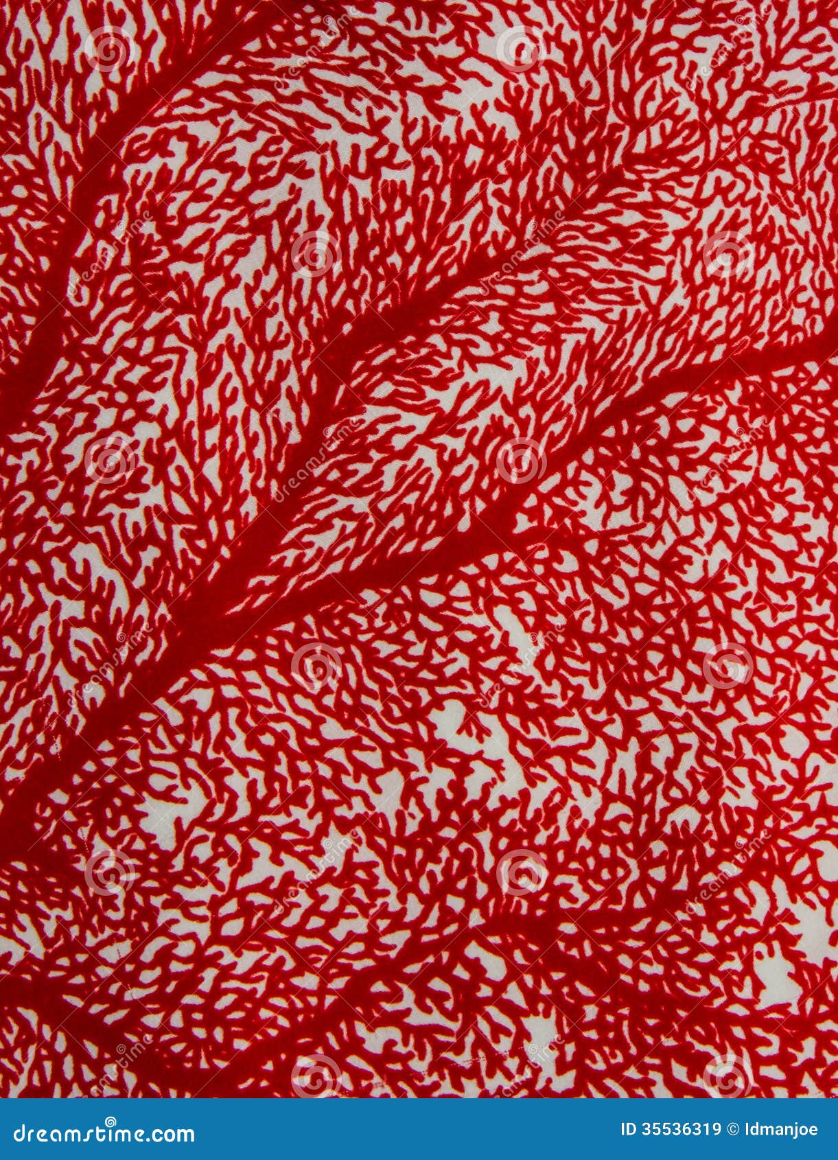 Red Coral Texture