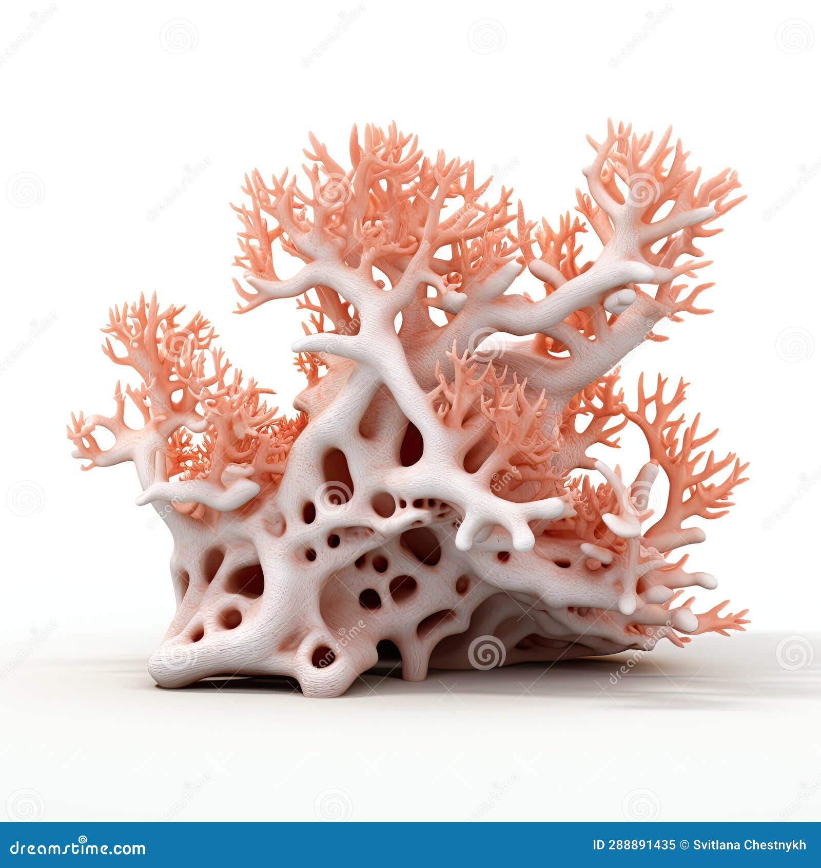 Red Corals Composition, Sea Life Objects, Isolated on White Background ...